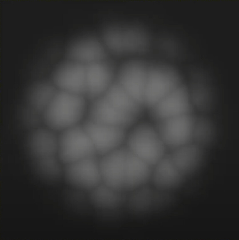 Micael E Sousa - Lonely Snail