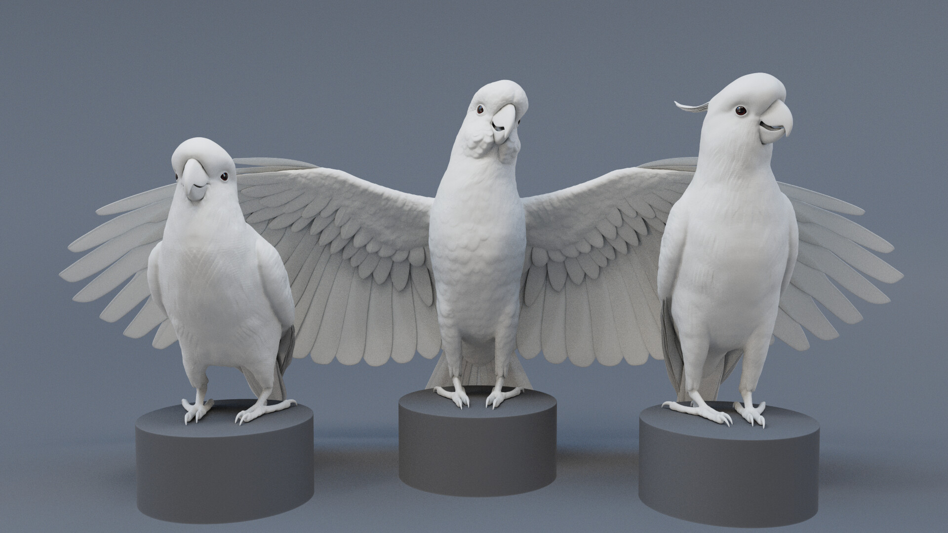 ArtStation - Commercial - Cockatoo