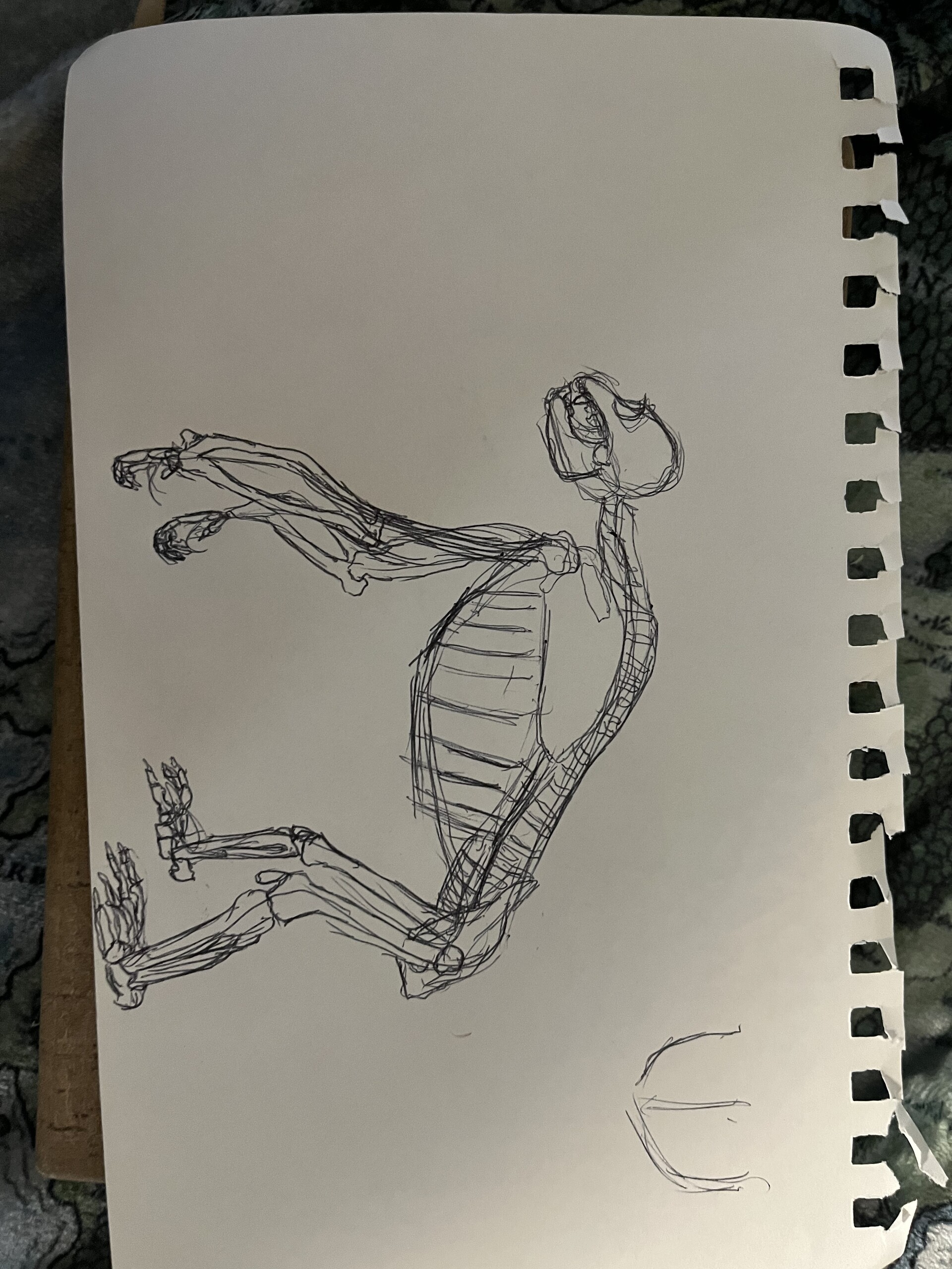 ArtStation - Skeleton