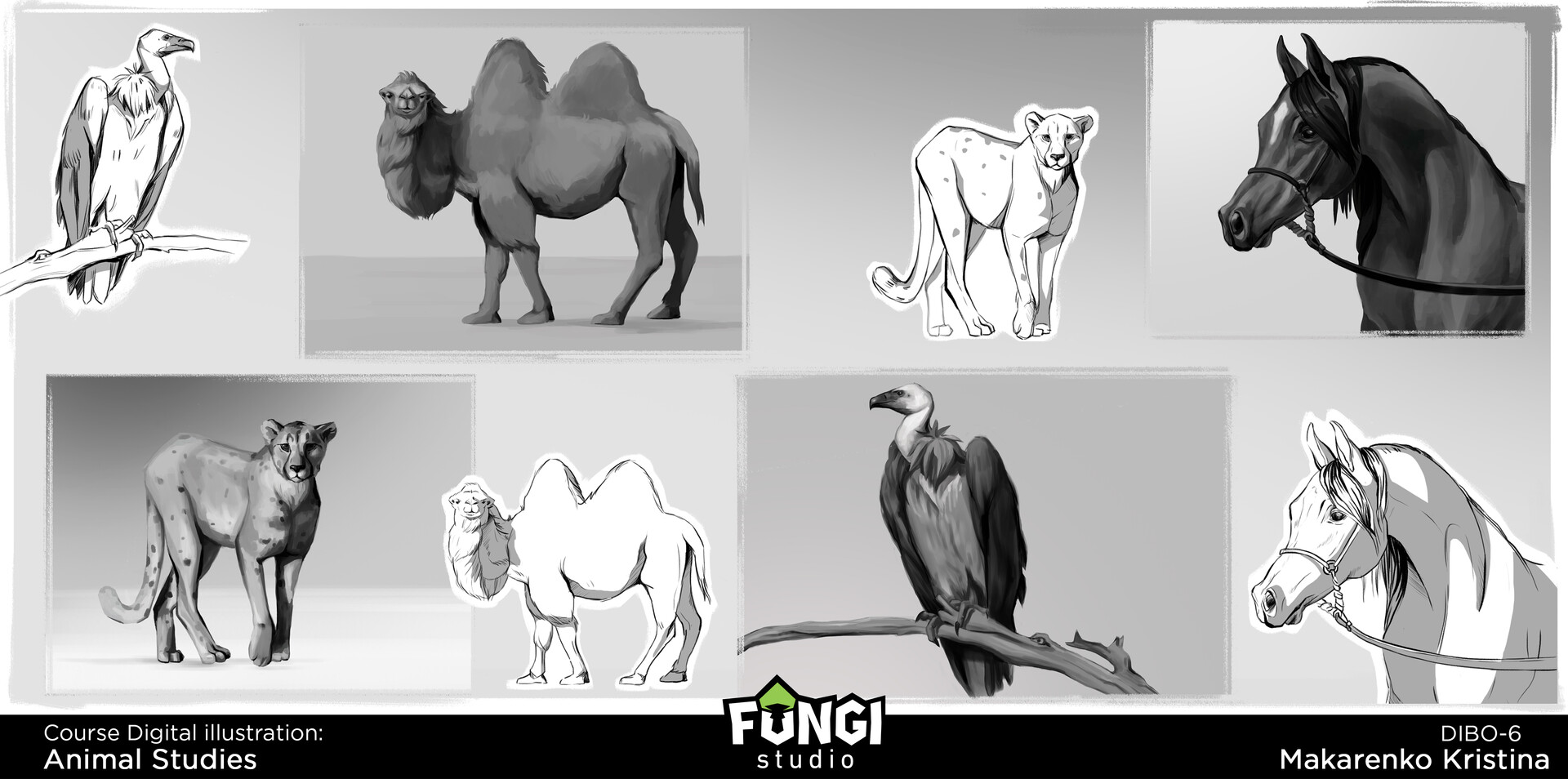ArtStation - Animal Studies