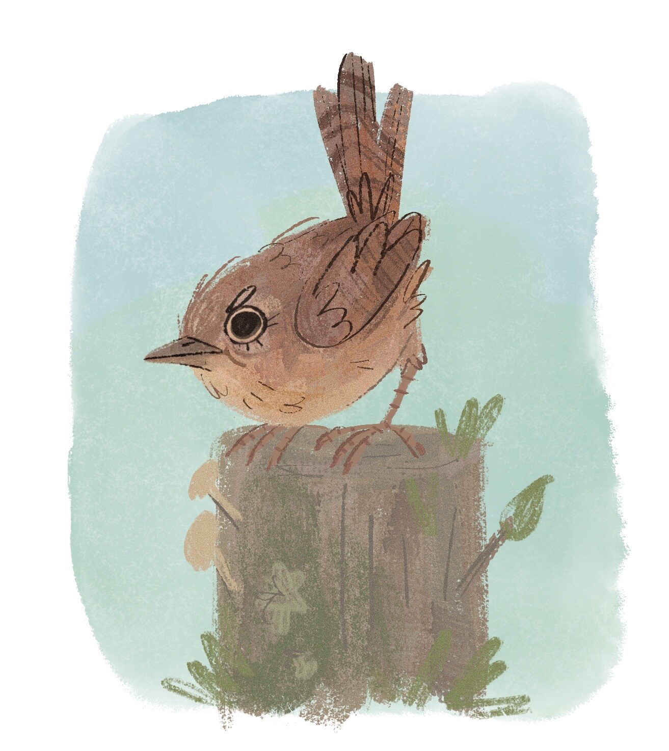 ArtStation - Silly wren