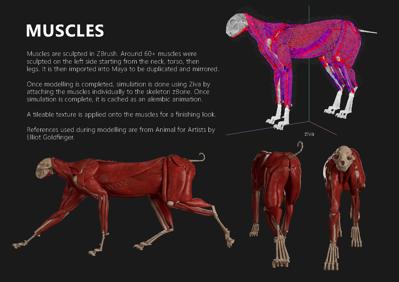 Zhi Ying Hoe - Eurasian Lynx Creature FX