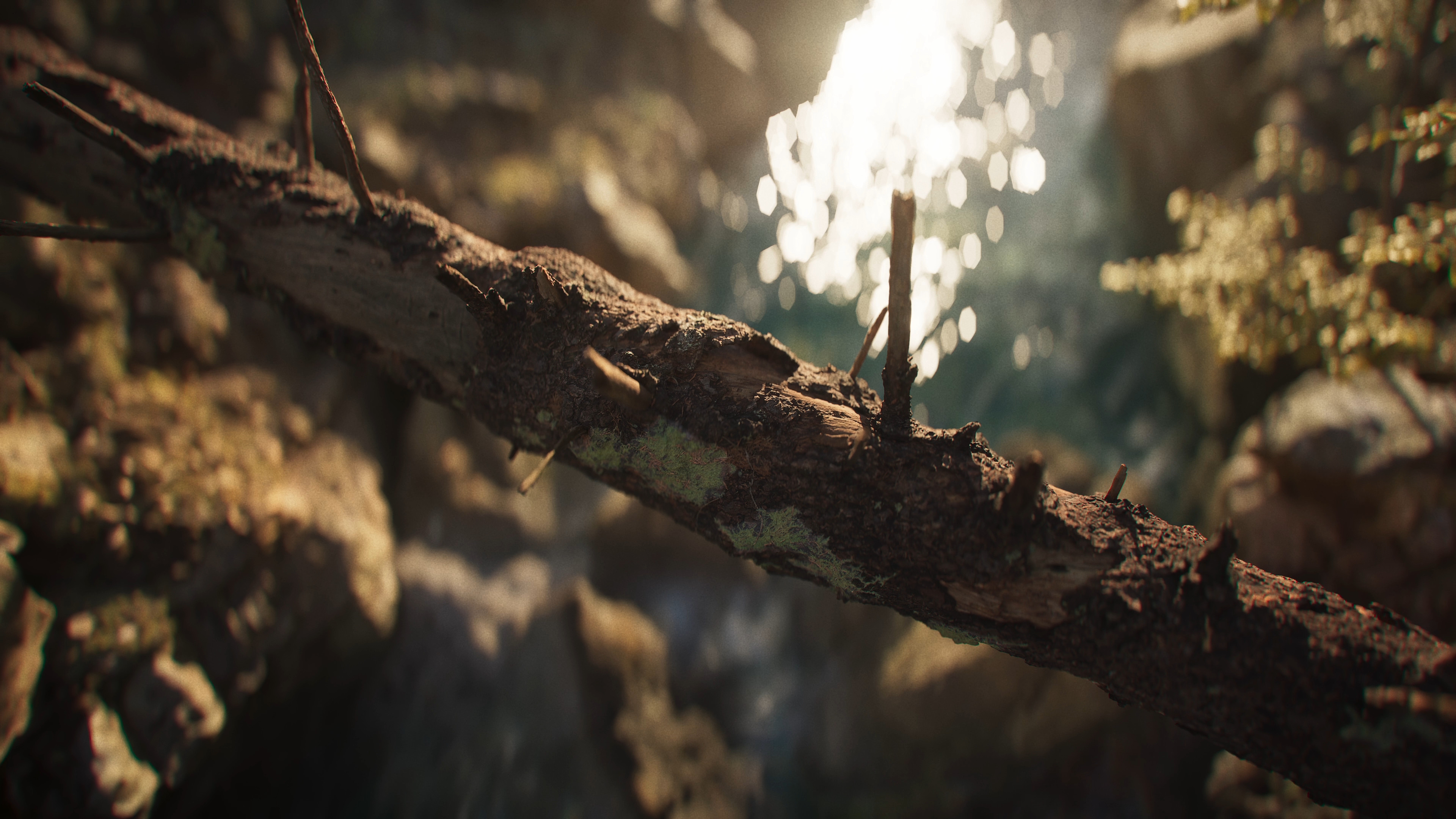 Sam Gielen - 'The River' - Unreal Engine 5.3 Fluid Flux Showcase