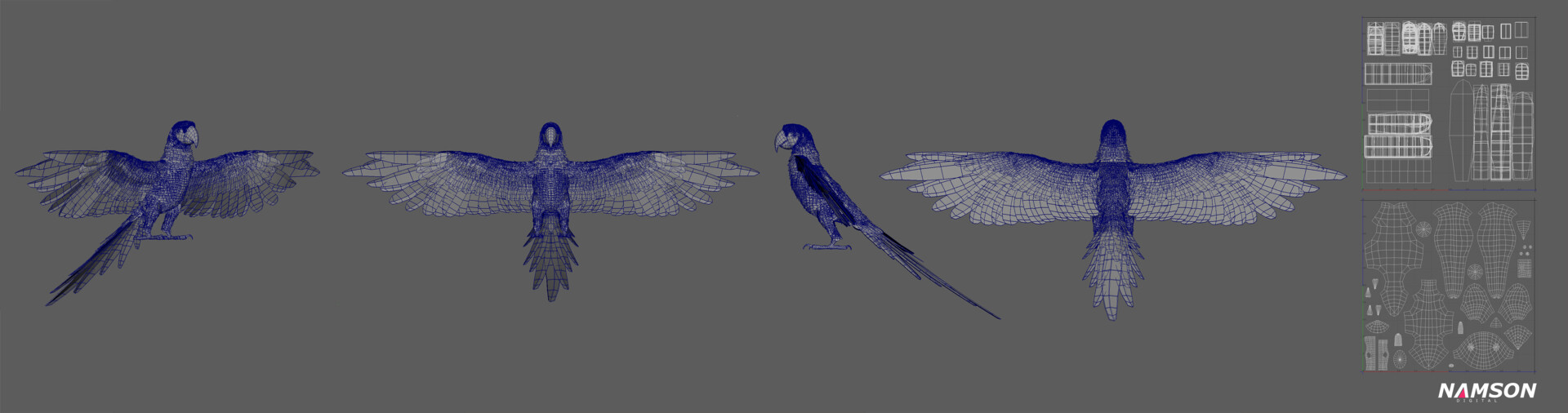 NAMSON digital - Scarlet Macaw