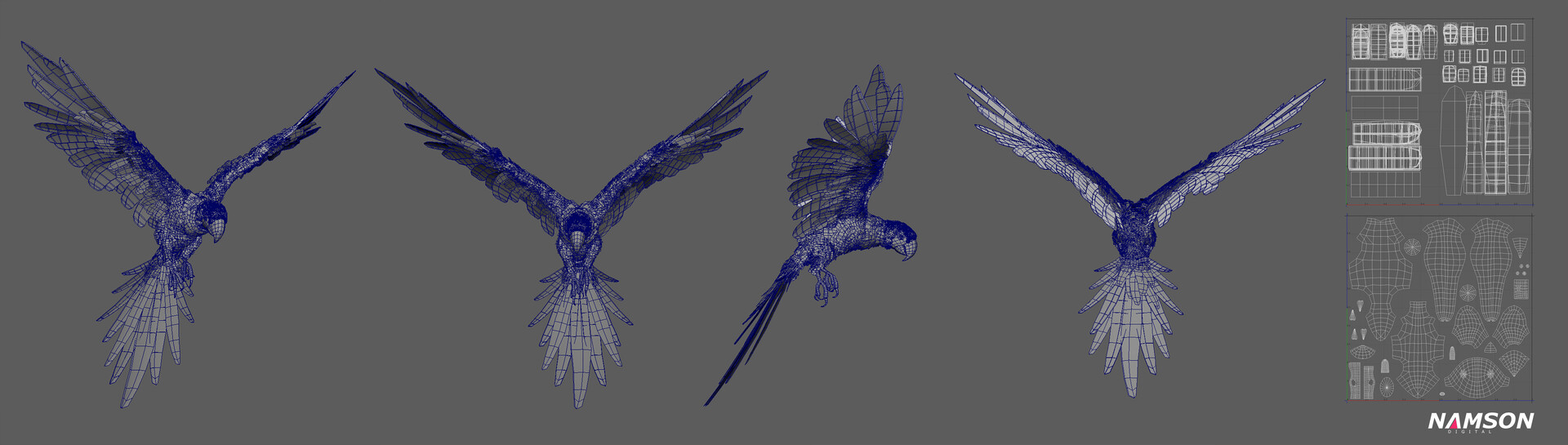 NAMSON digital - Scarlet Macaw