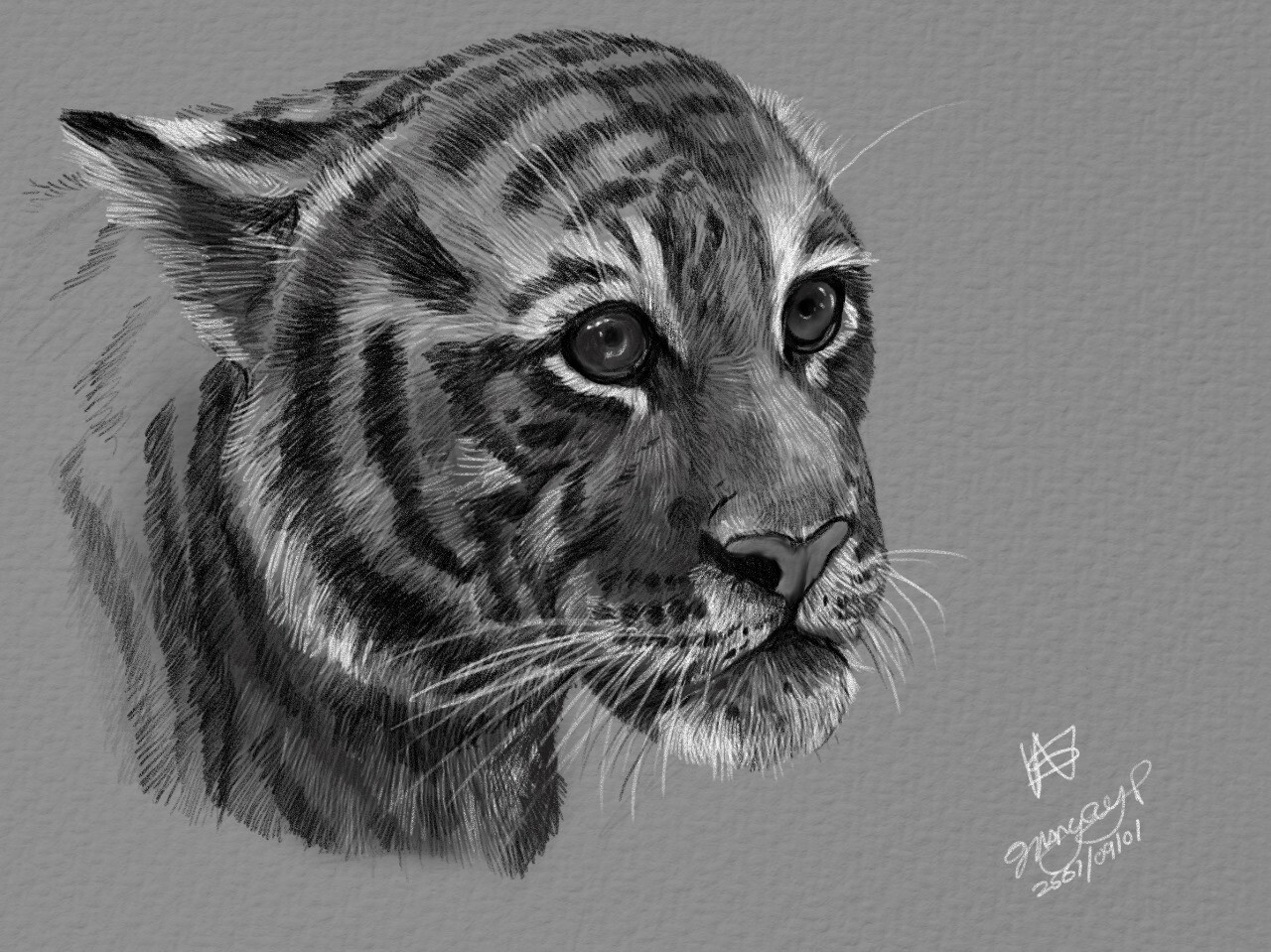 Nishitha Wanigasuriya - Appearance van be deceiving