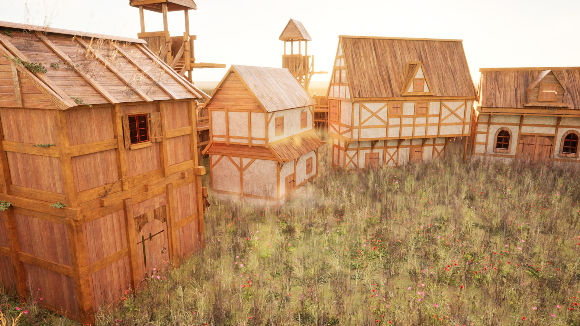 Hai Nguyen - Medieval Village