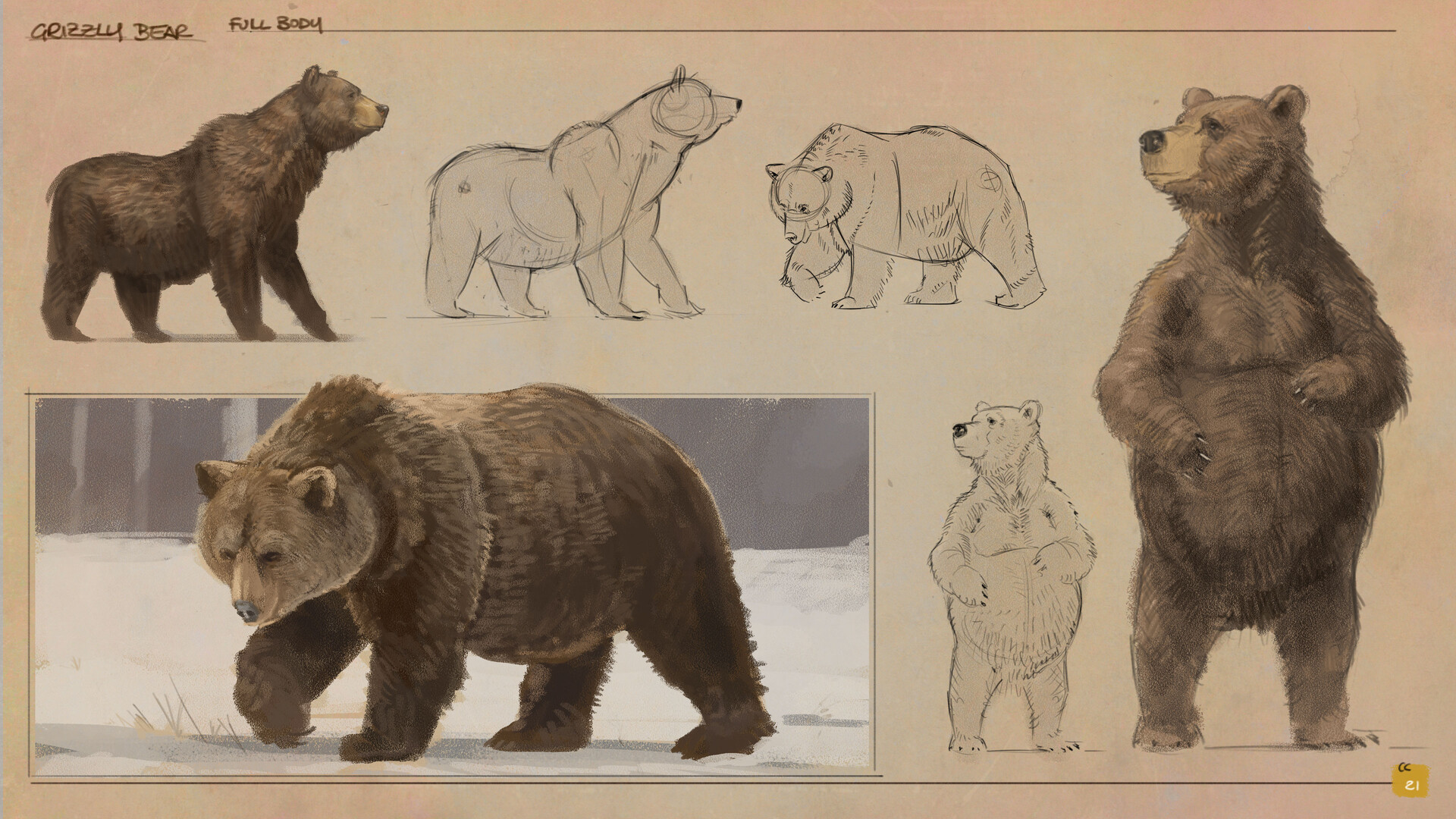 ArtStation - Grizzly Bears + Anatomy