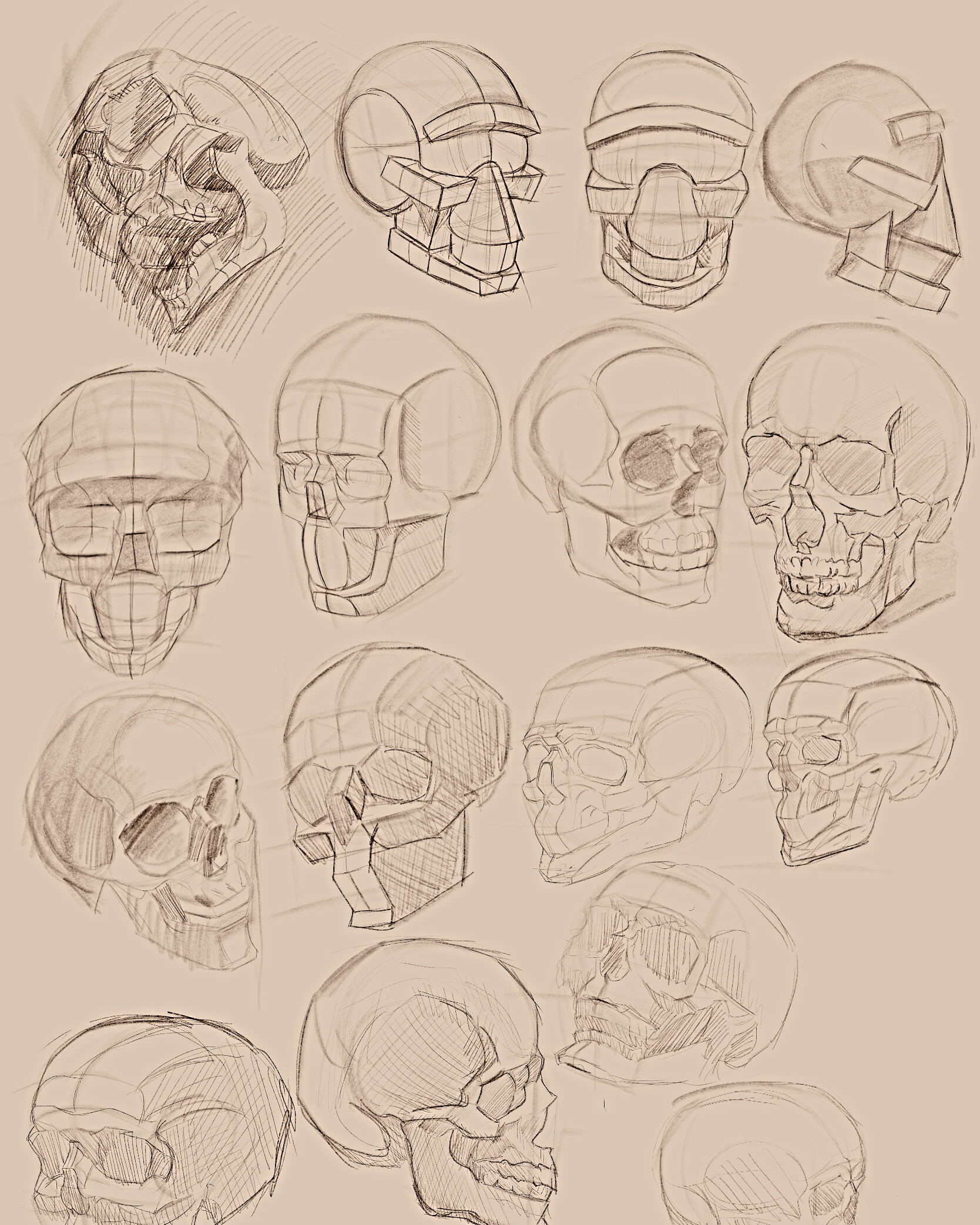ArtStation - Collection of skulls