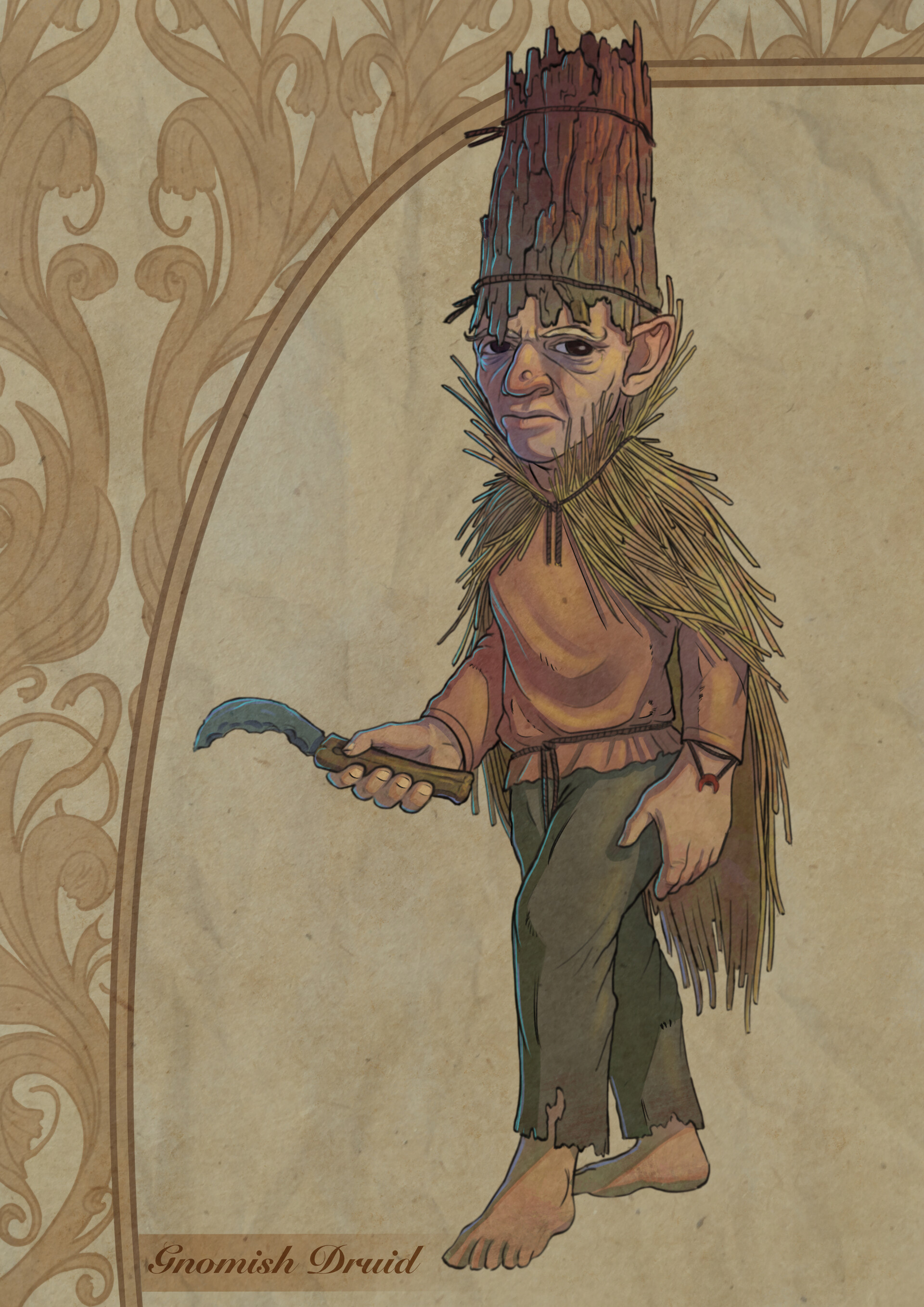 sandro girardi - Gnomes!