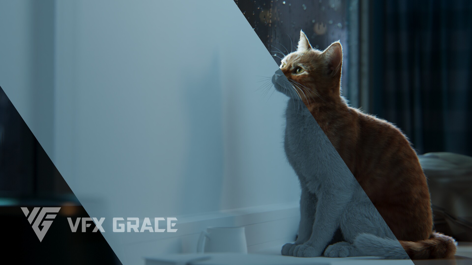 VFX models - Orange Cat Animated