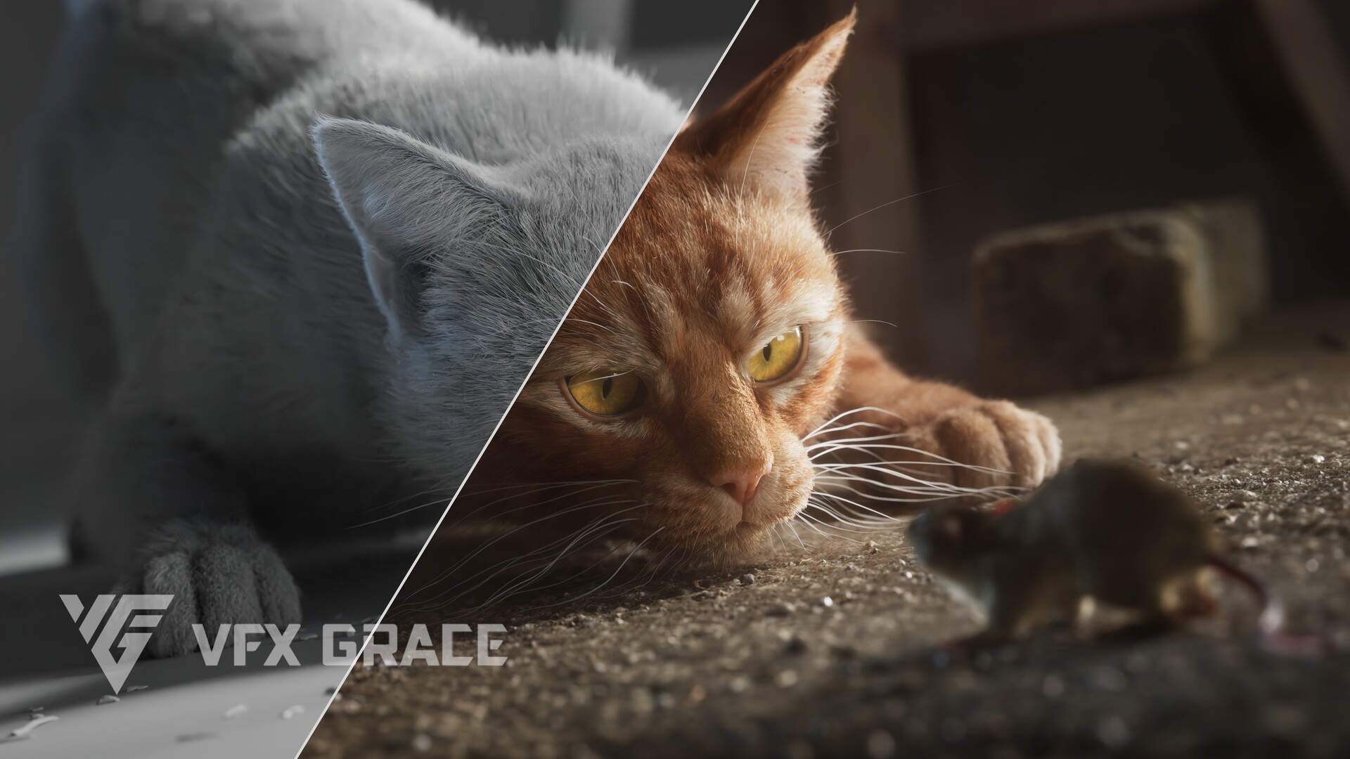 VFX models - Orange Cat Animated