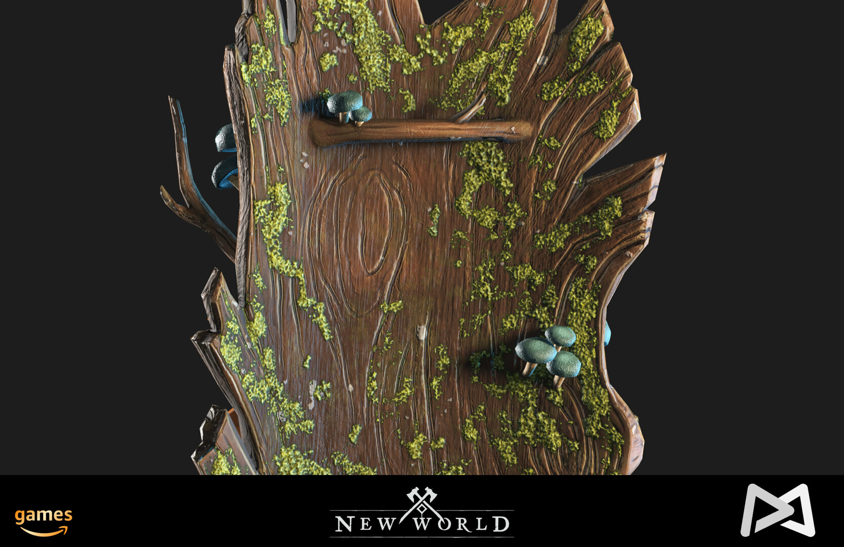 Magic Media - Amazon New World - Shields