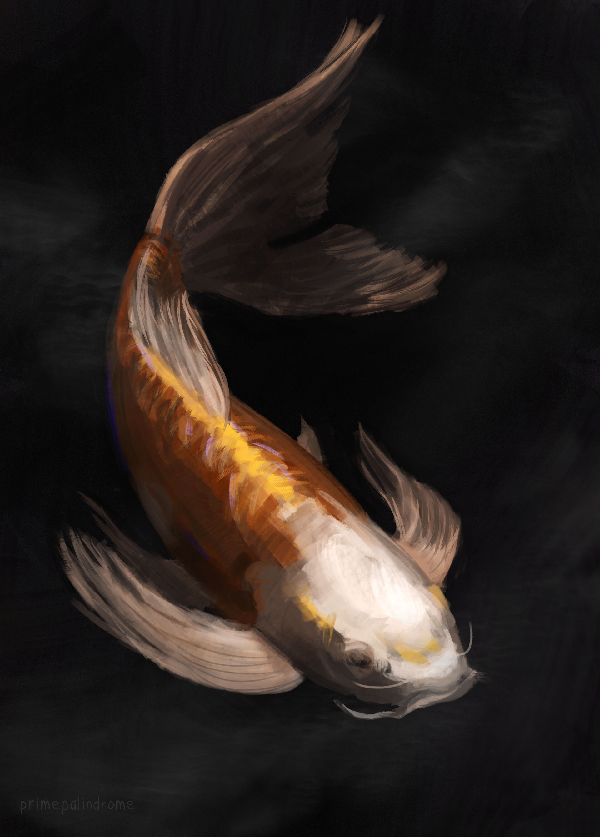 ArtStation - Koi
