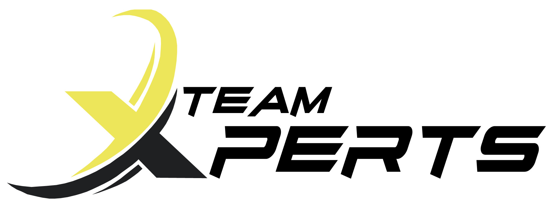 ArtStation - TEAM XPERTS LOGO