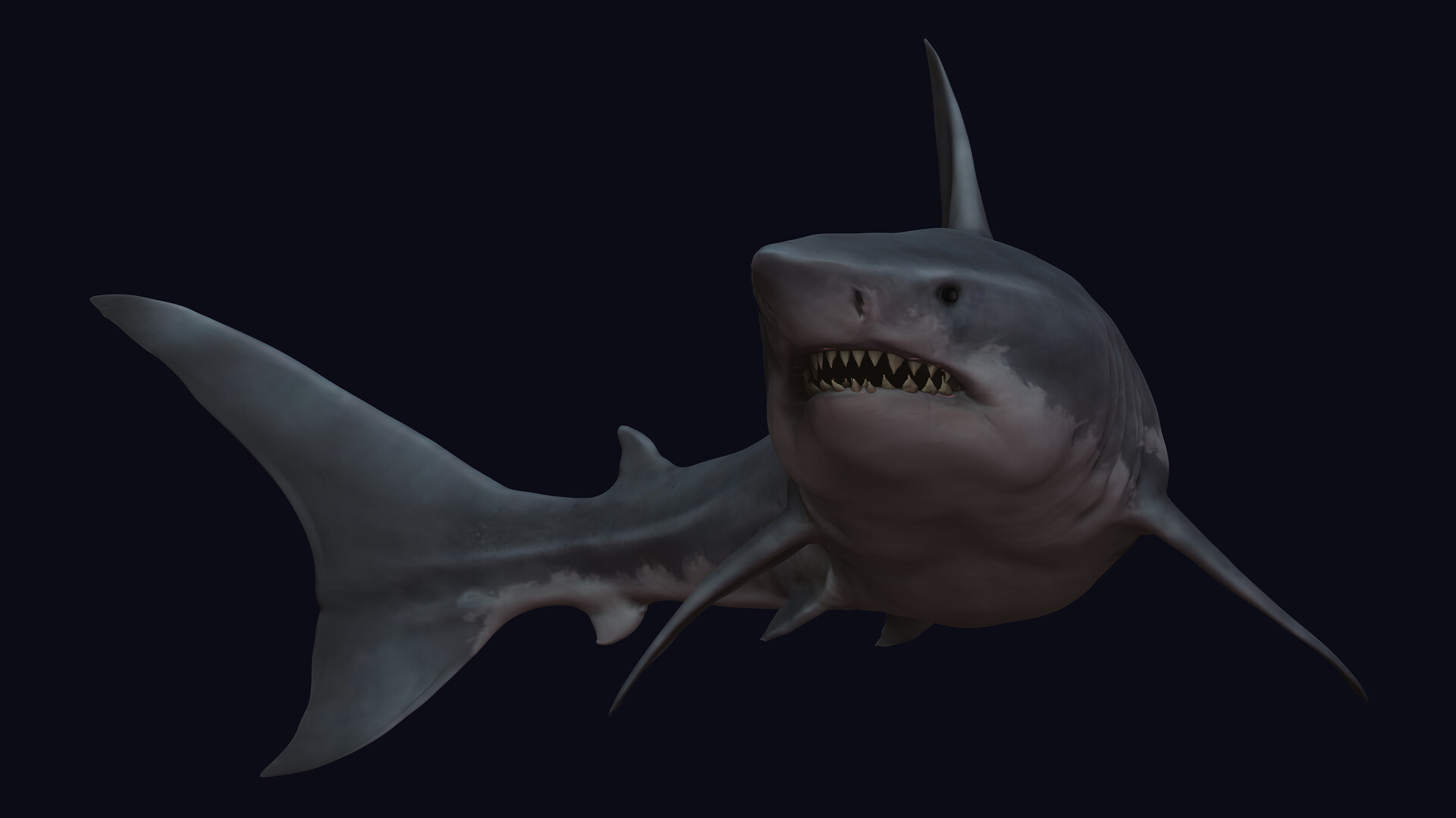 ArtStation - Shark