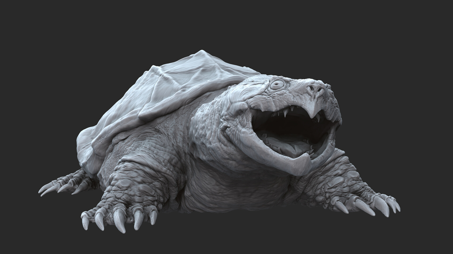 ArtStation - Turtle