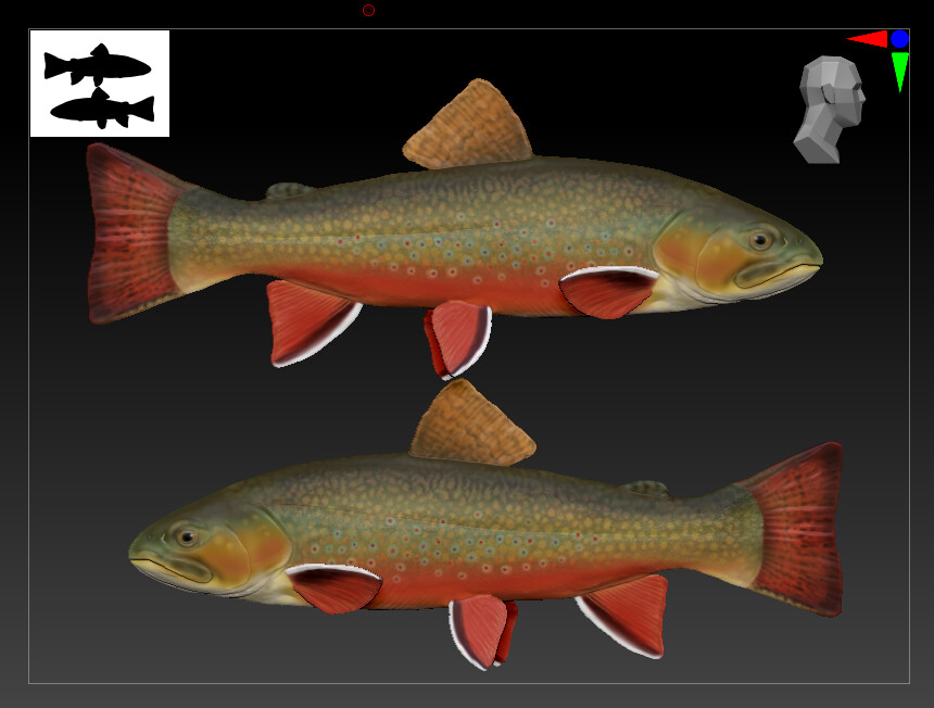 ArtStation - Brook Trout