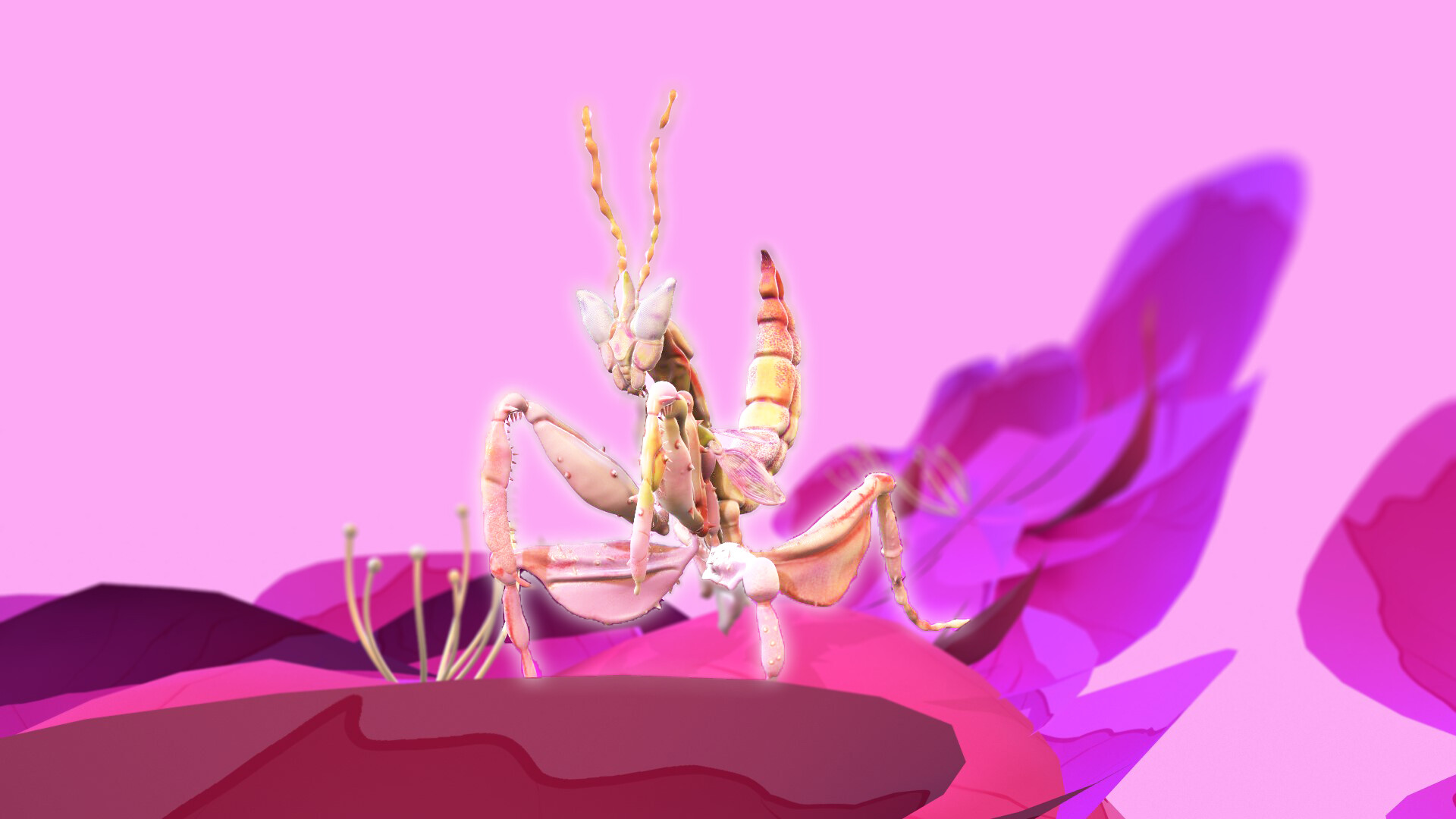 ArtStation - The Mantis