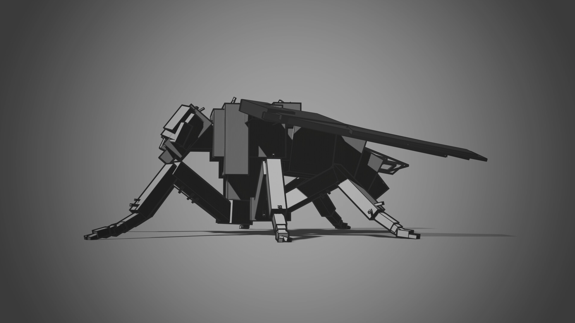 stefano costarelli - The fly