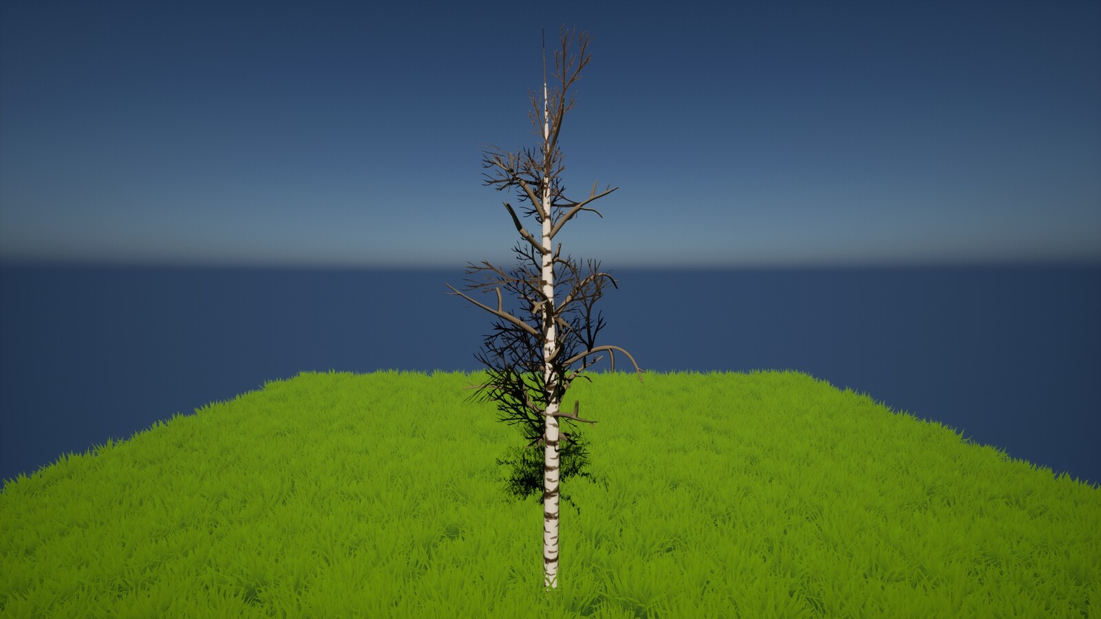 Martina Kisova - Birch tree props