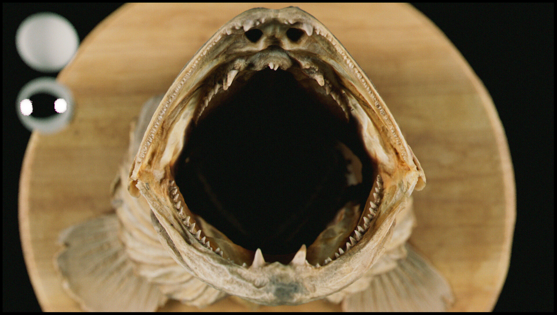 ArtStation - Something Fishy This Way Comes