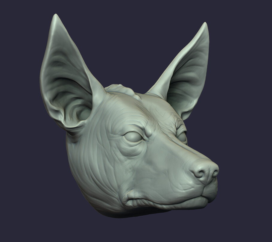 ArtStation - Xolo Dog Head Study