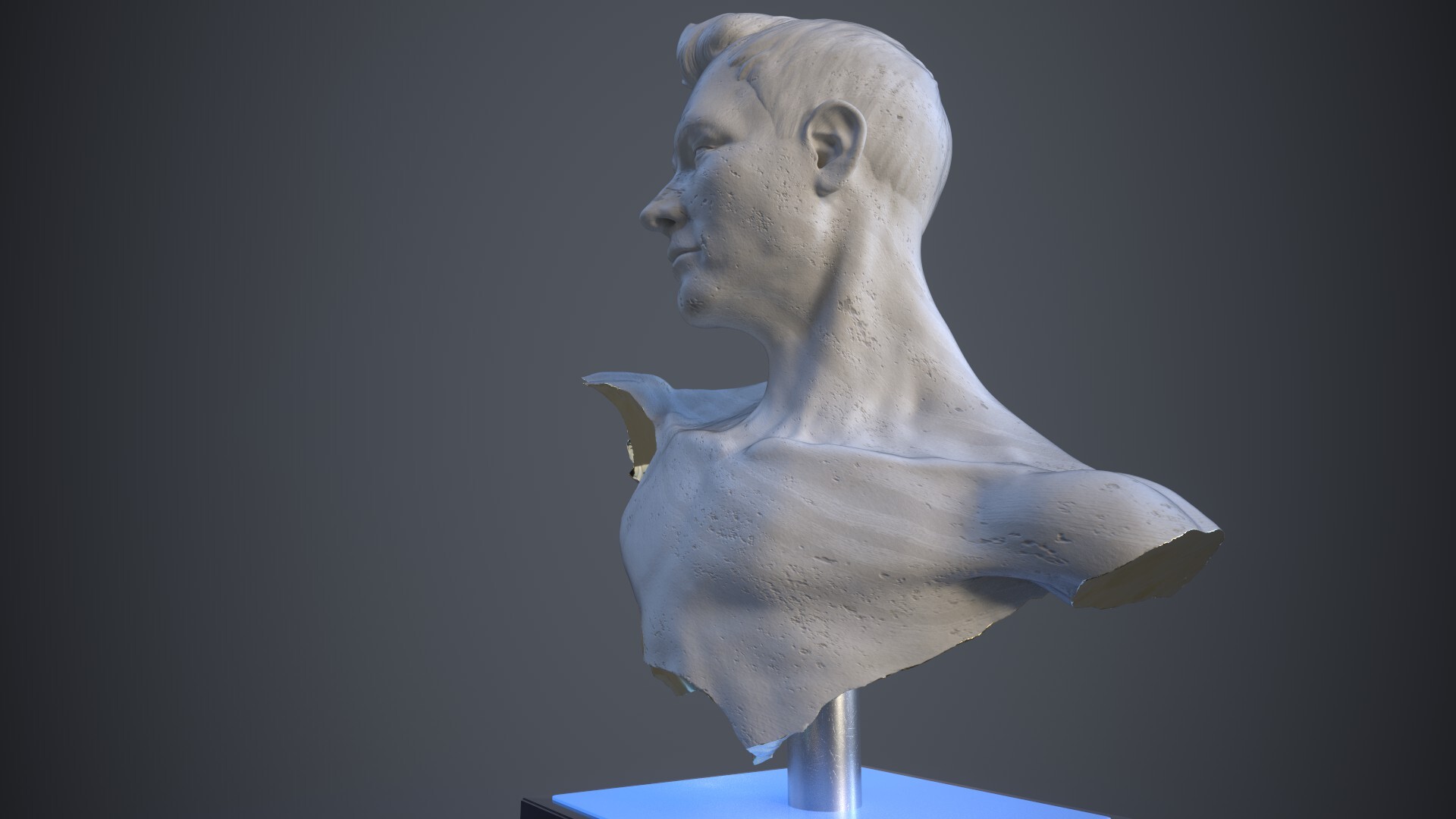 Ryan Darling - Male Head Bust - Anatomy Study