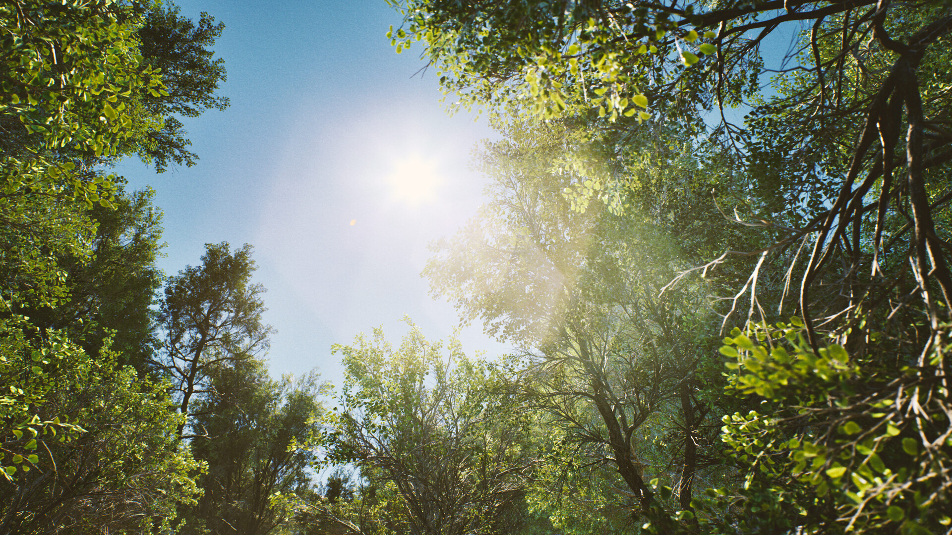 Pasquale Scionti - Physical Based Lighting Unreal Engine 5.2 Lumen