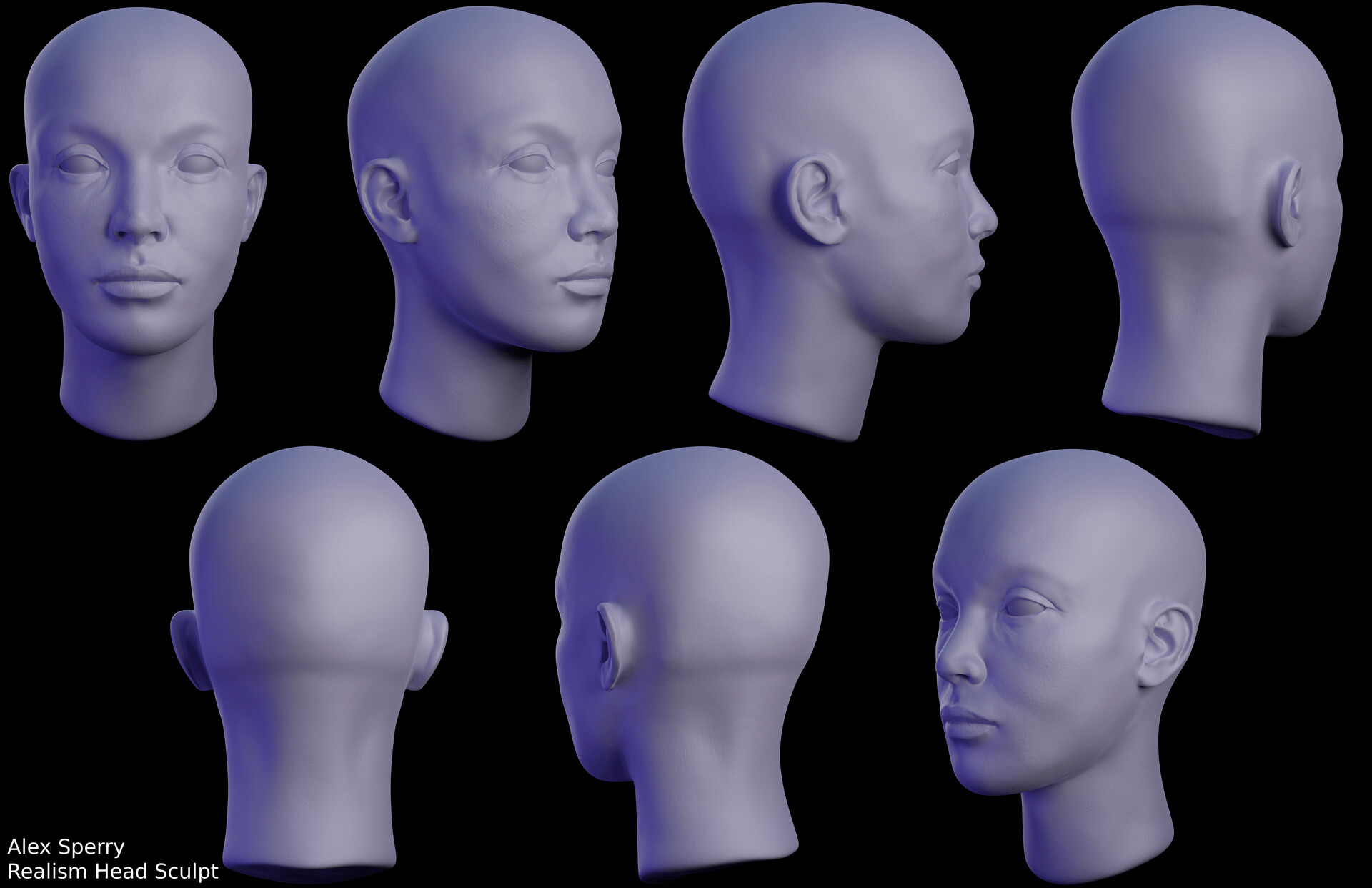 Alex Sperry - Realism Head Sculpt