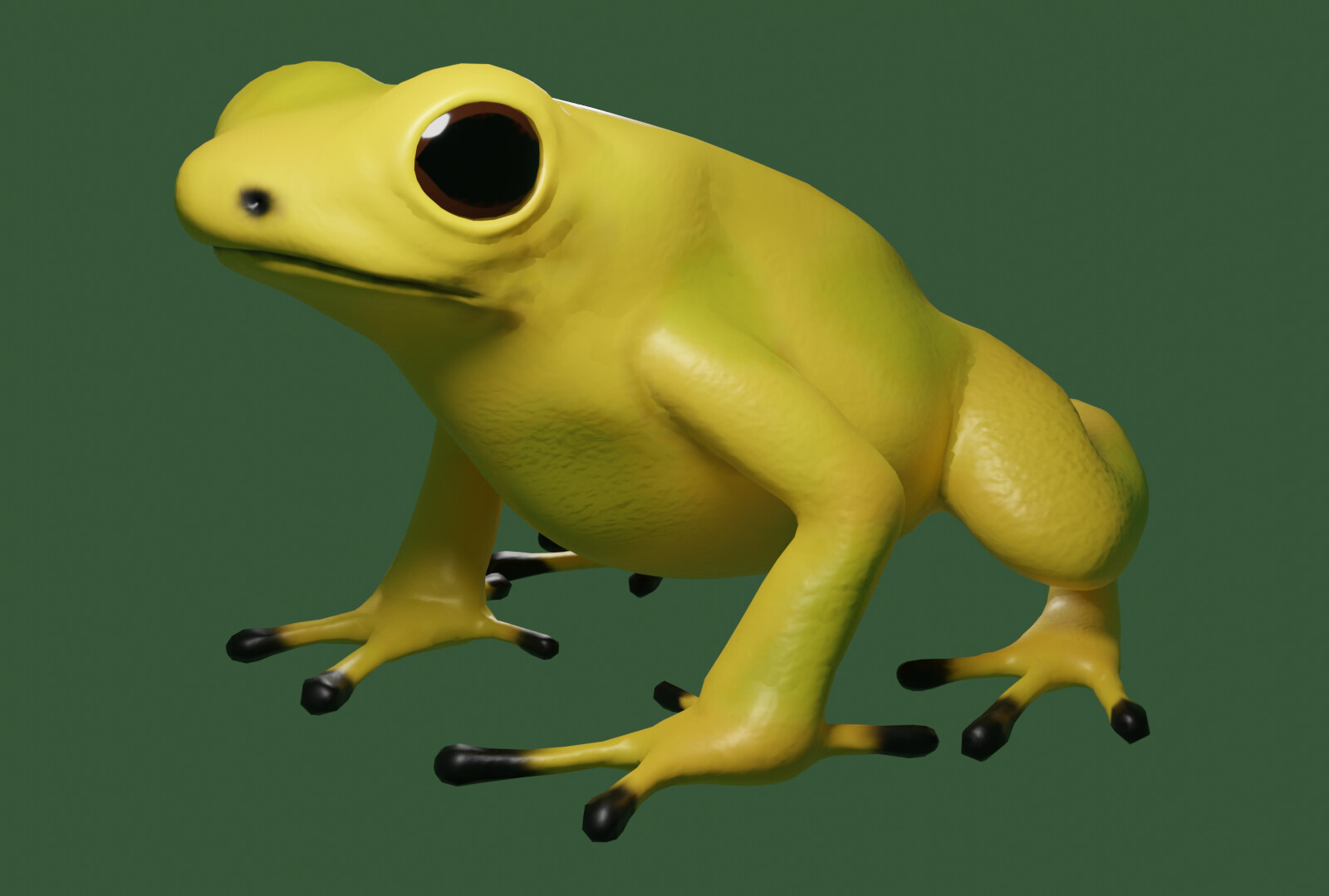 ArtStation - Simple frog