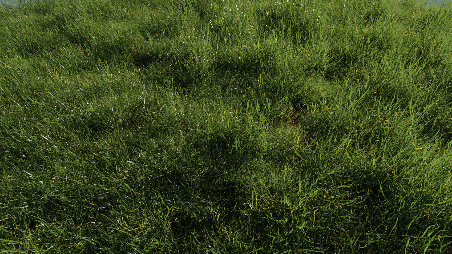 ArtStation - Grass Terrain