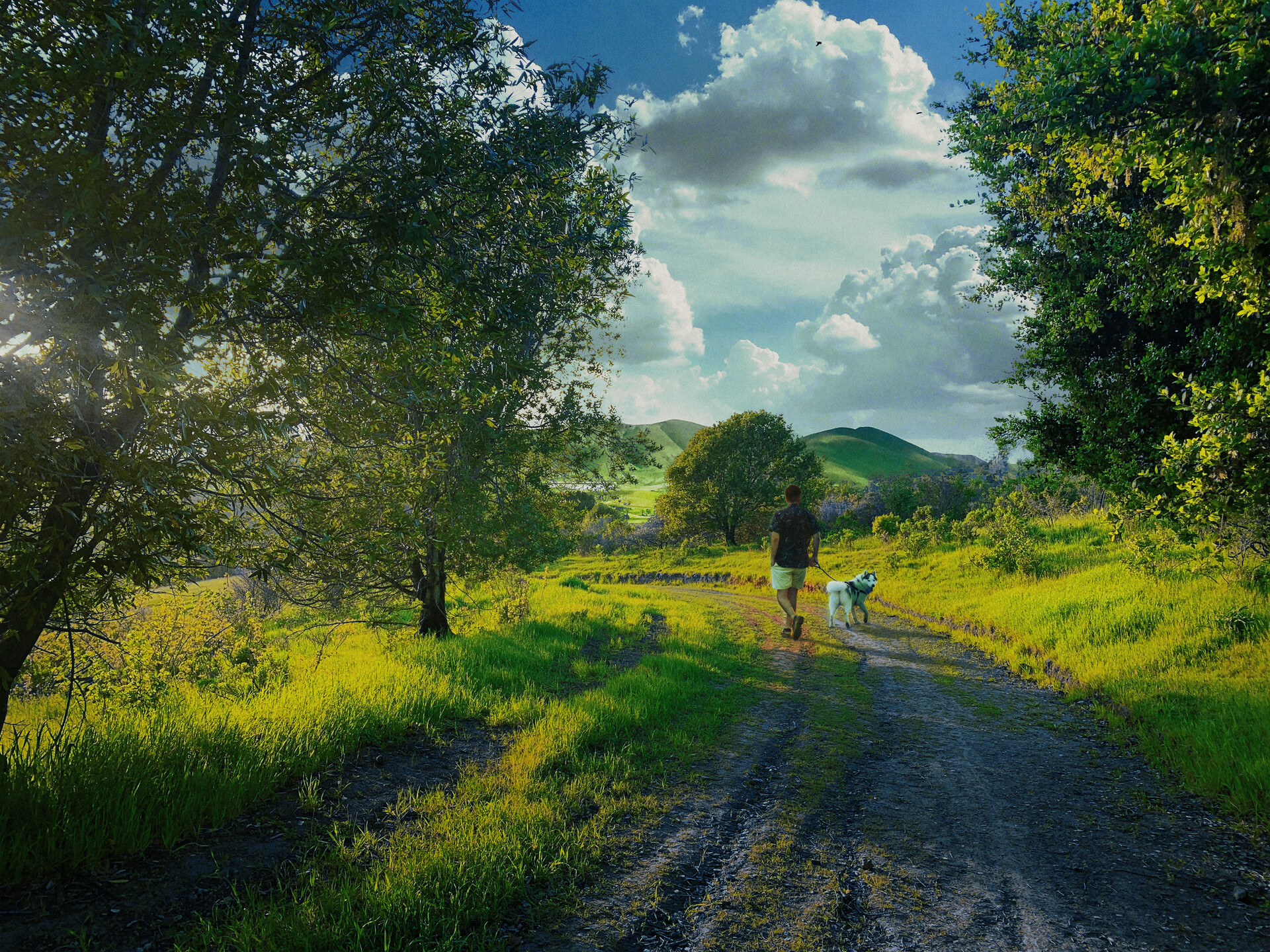 ArtStation - Peaceful Day