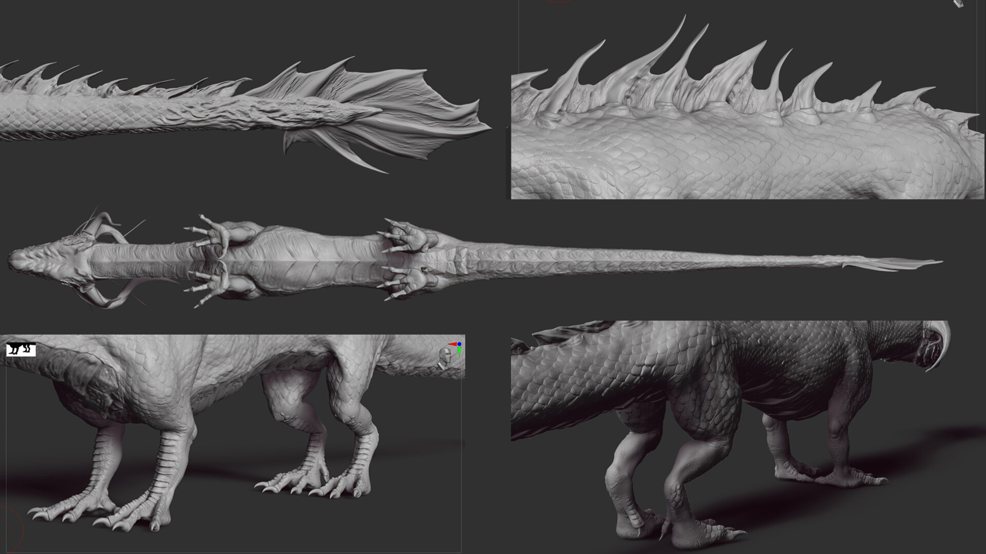 Heather - Fuzanglong Dragon