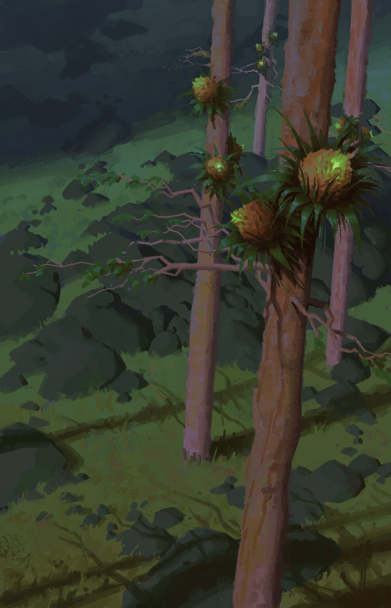 Benoit Chenu - Practice