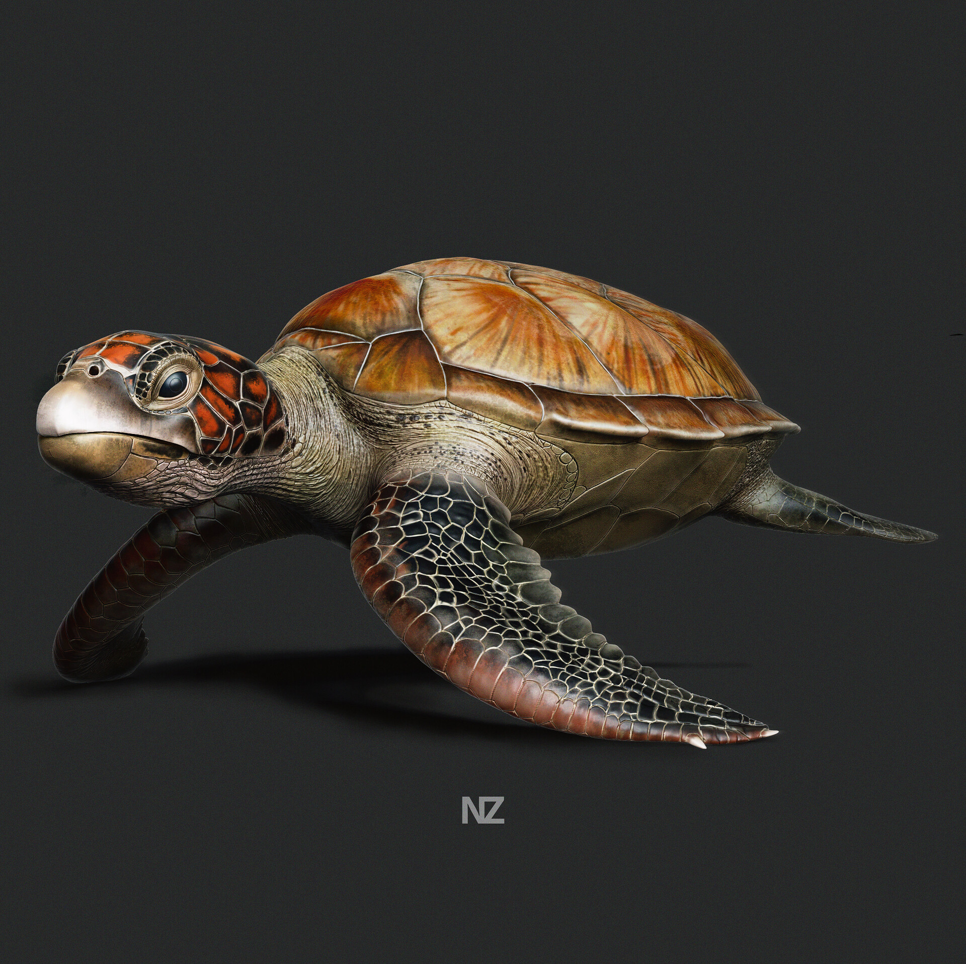 ArtStation - "Turtle"