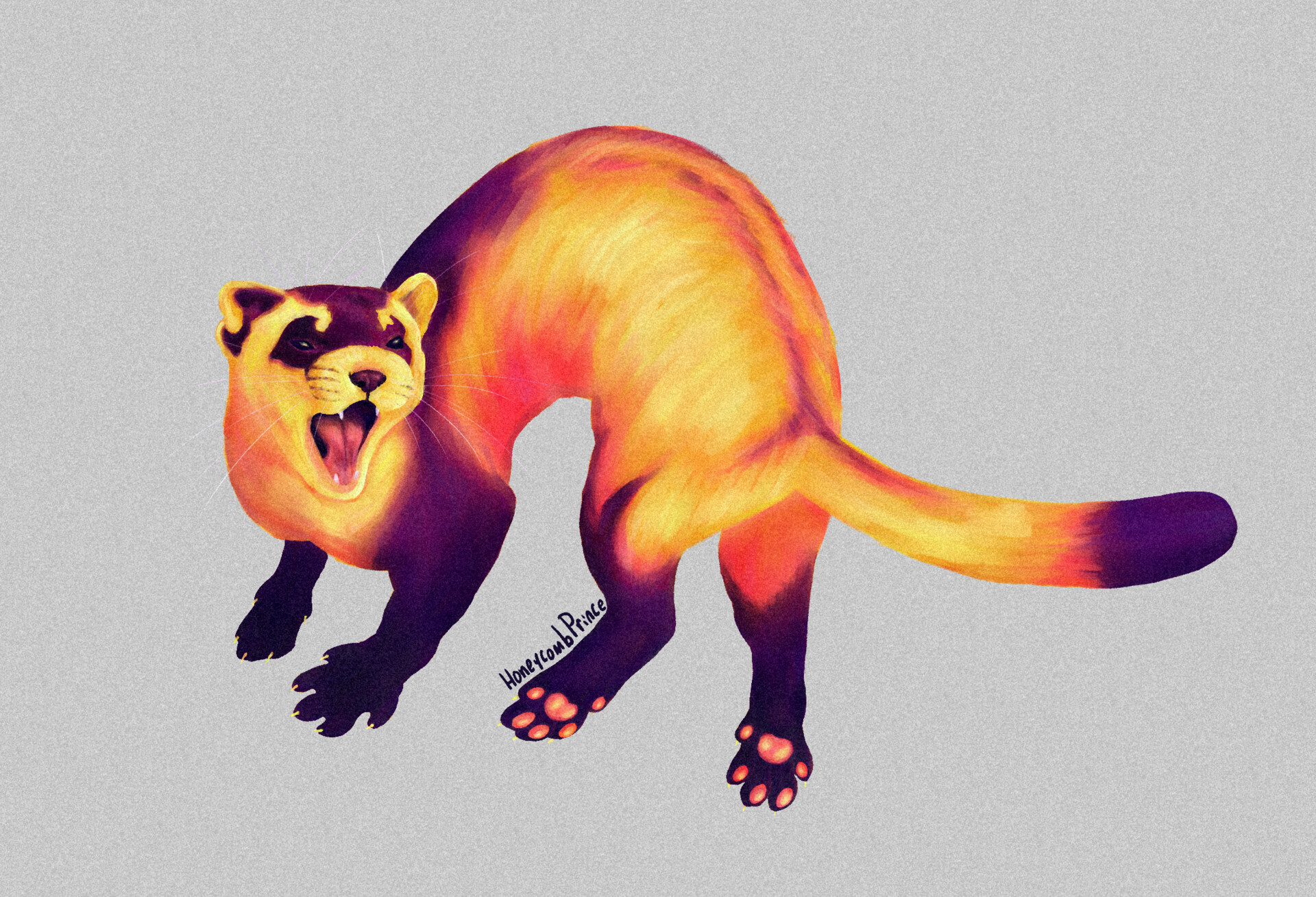 ArtStation - Black-Footed Ferret