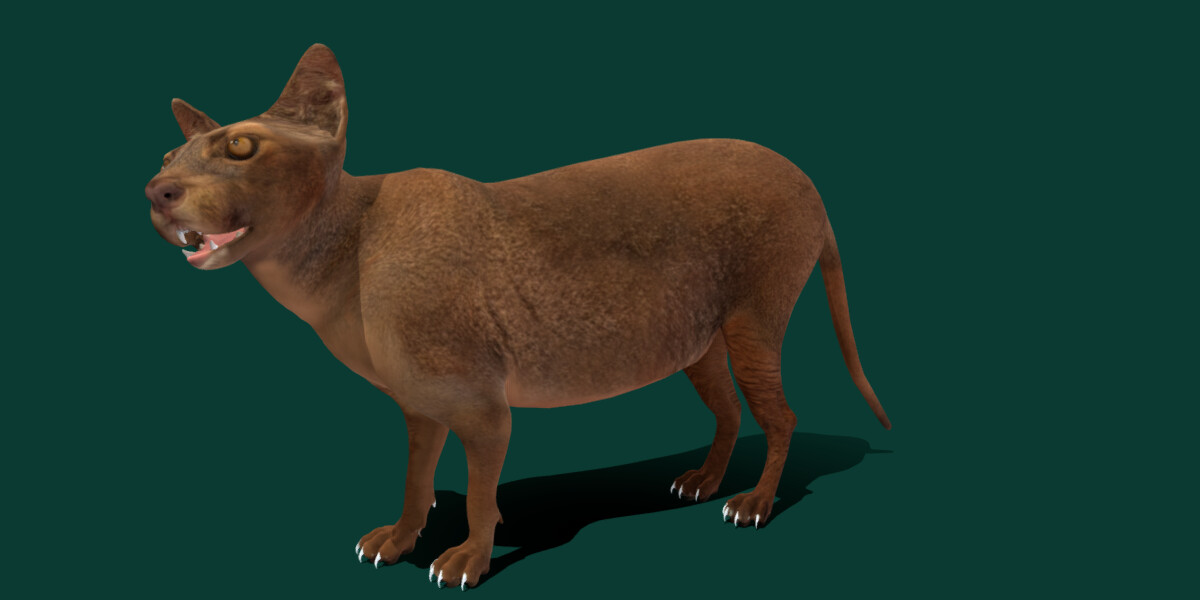 Nyilonelycompany - Cryptoprocta Ferox Fossa Endangered Animal