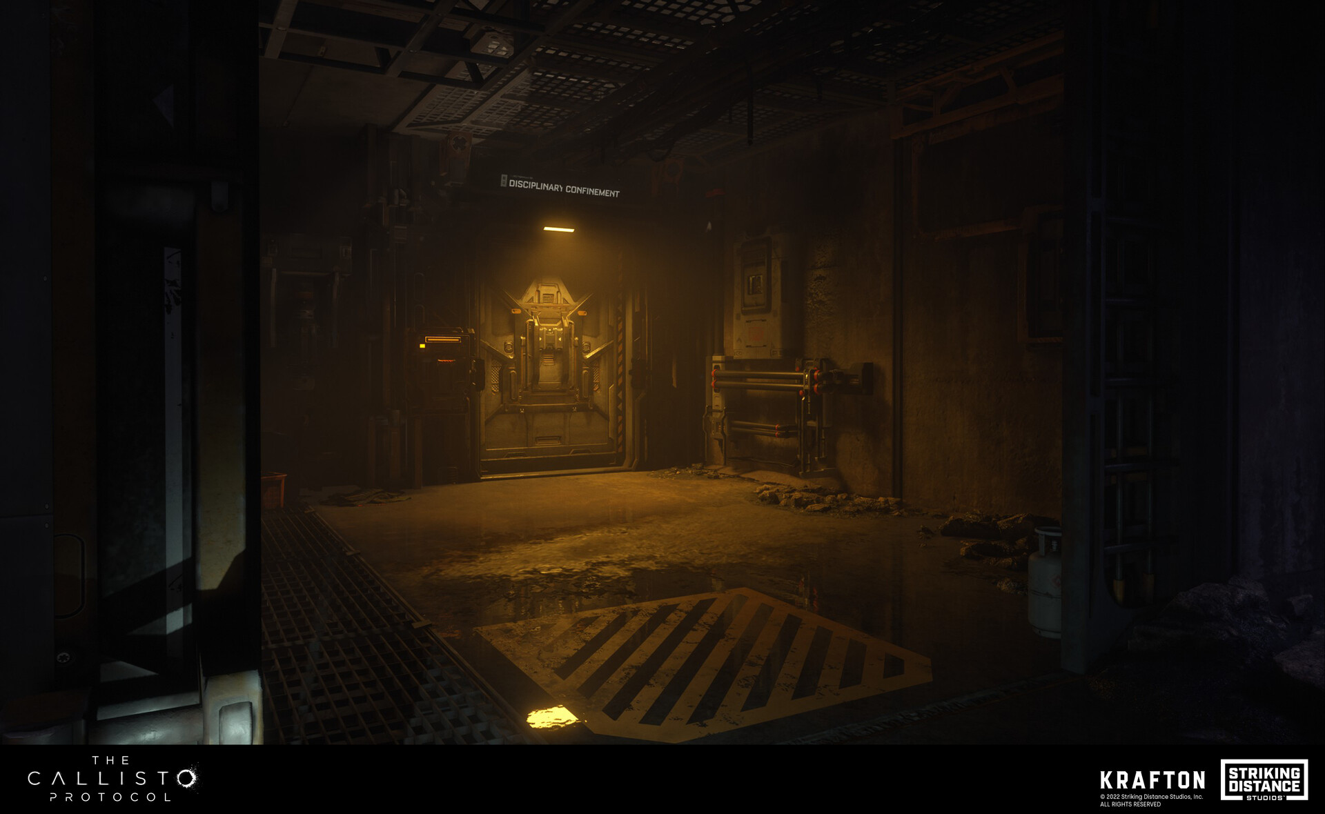 Nicole Schofield - The Callisto Protocol: Final Transmission