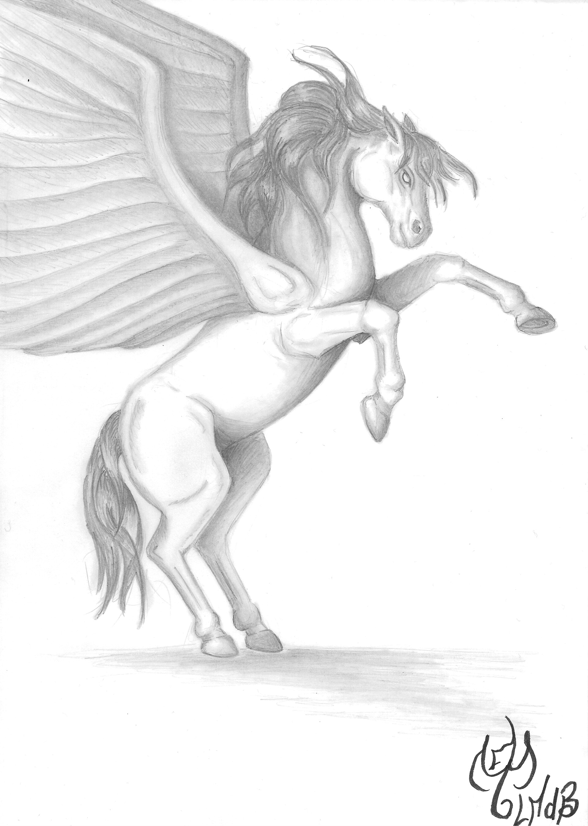 ArtStation - Pégase