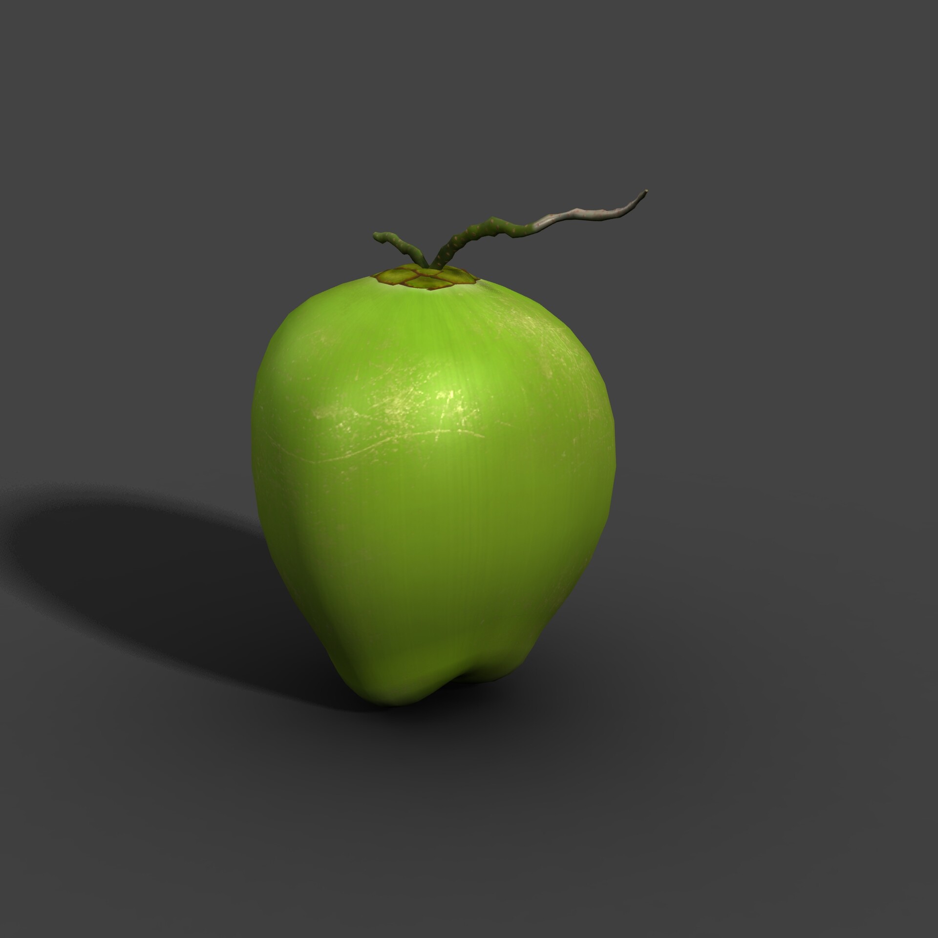 ArtStation - COCONUT 3D Model