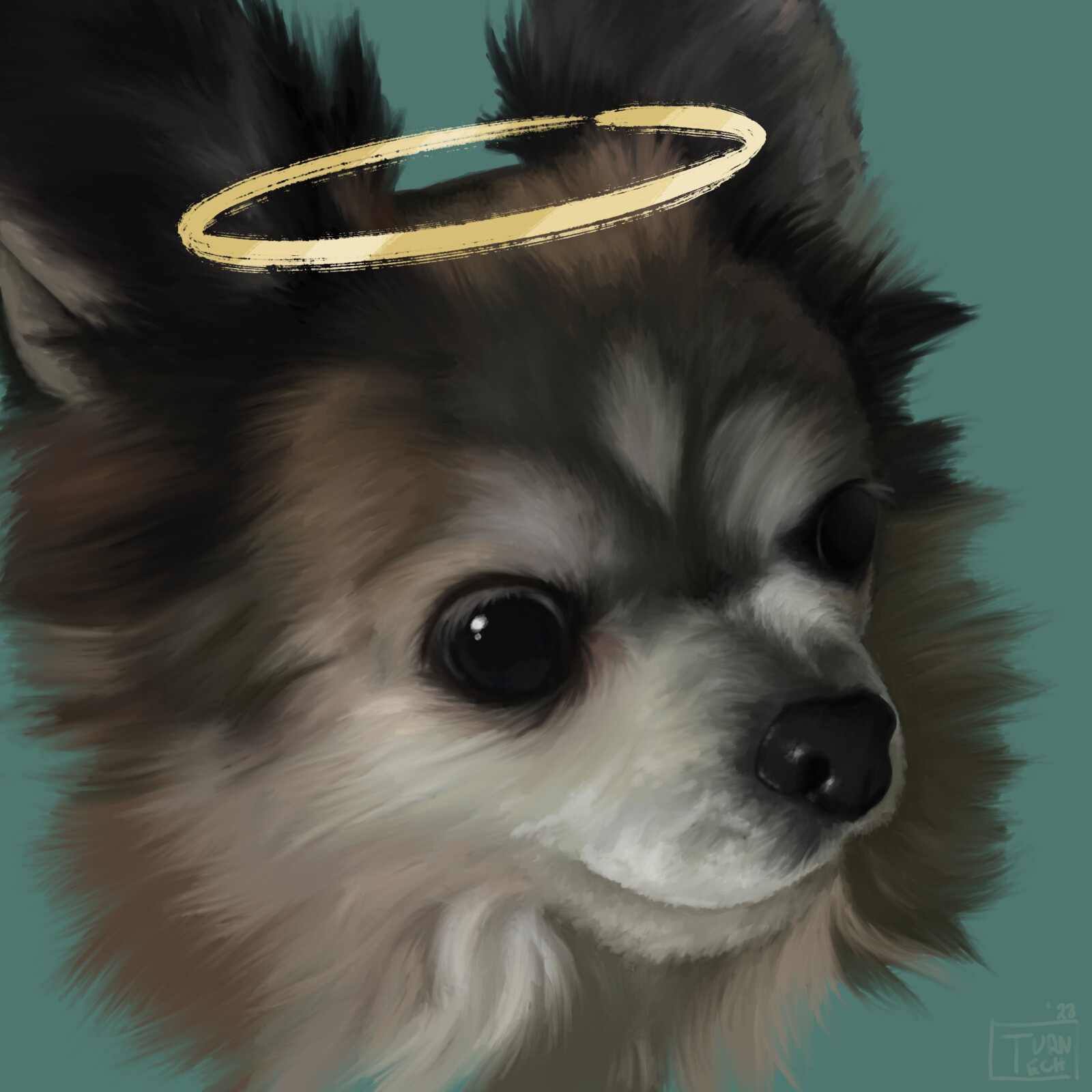 Charlie Corrigan - Portrait of a Dog