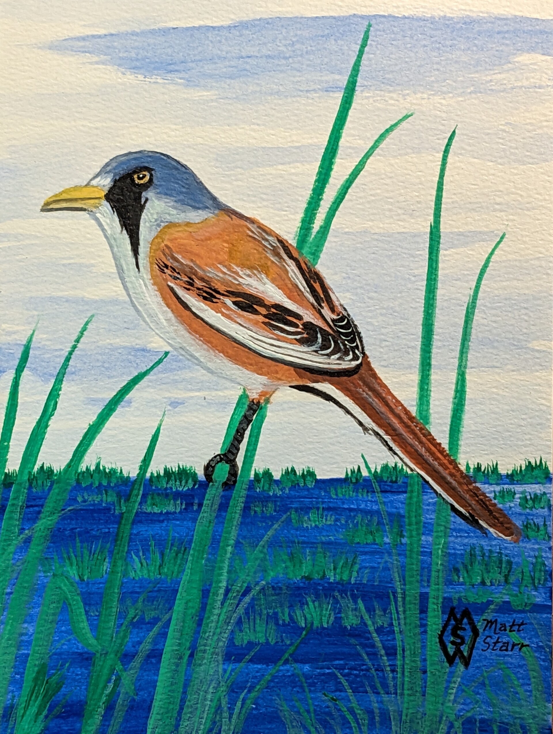 ArtStation - Bearded reedling in the wetlands