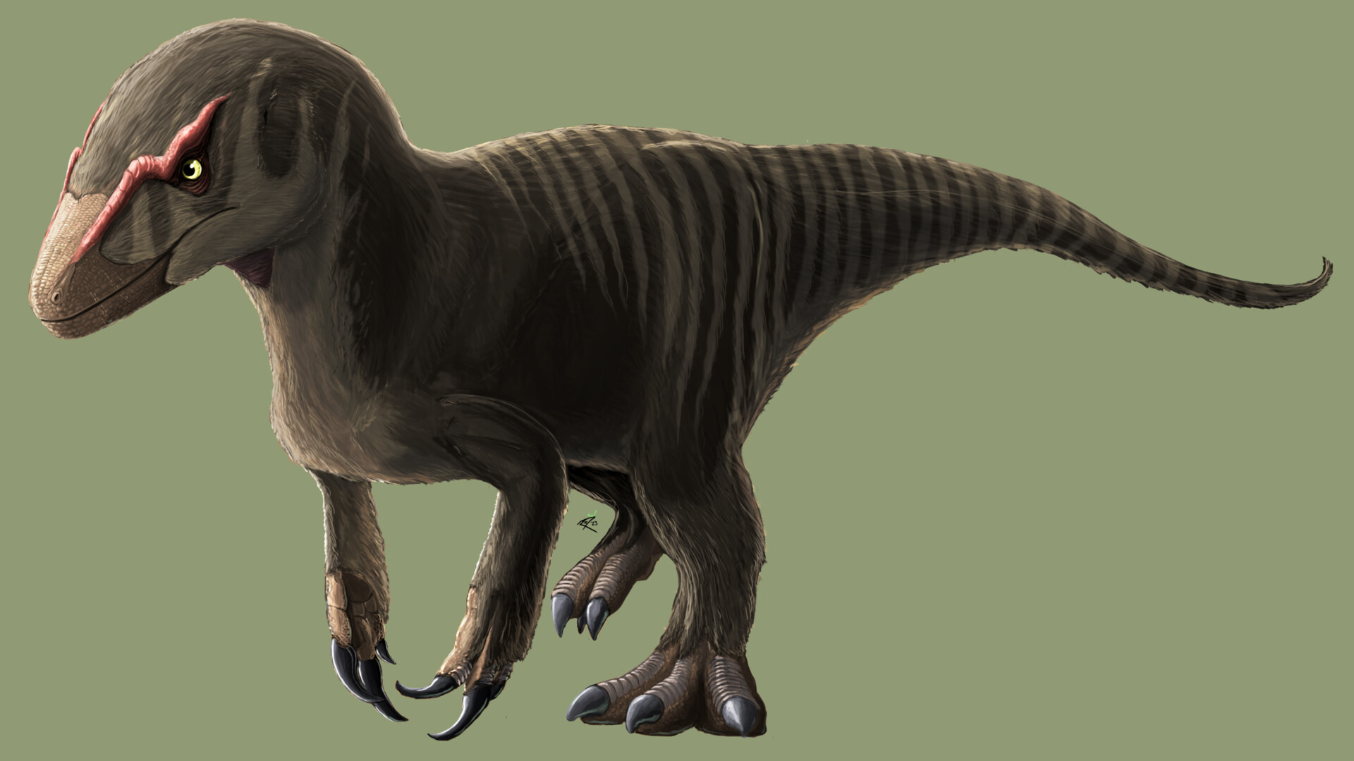 ArtStation - Victorian Megaraptor (Version 2)