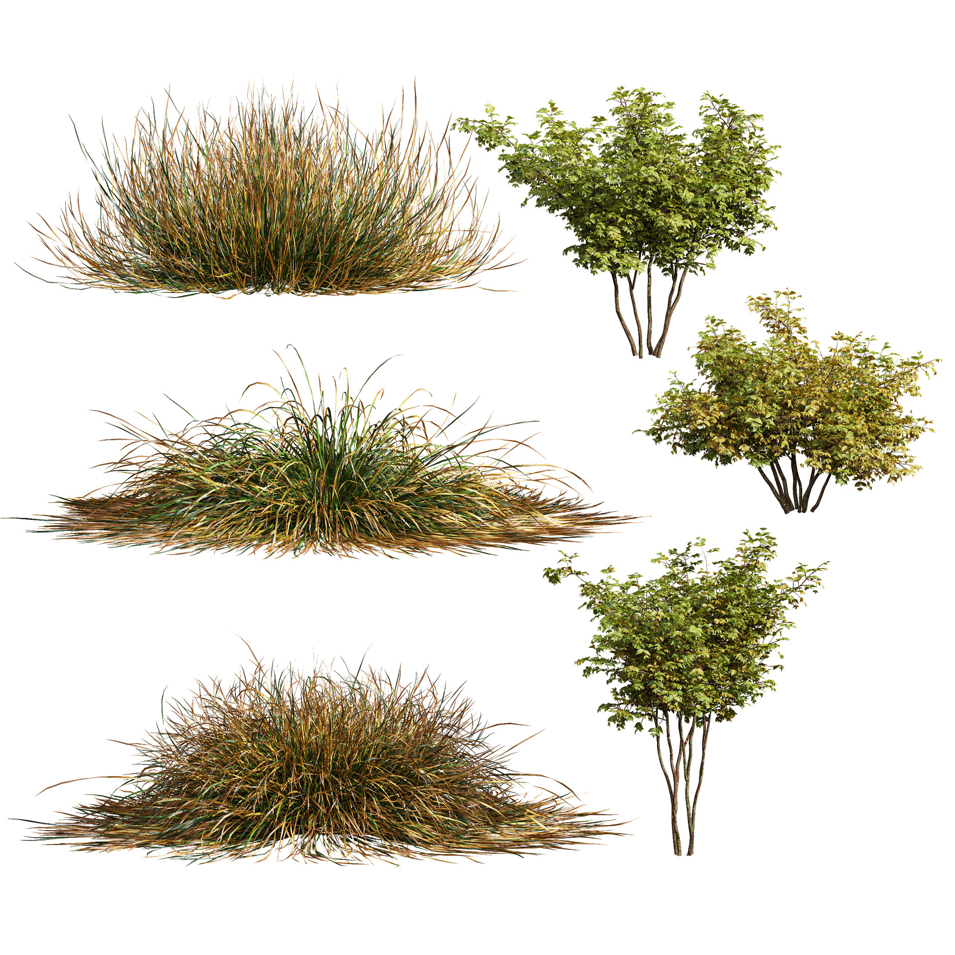 ArtStation - fall bush-6 different bush