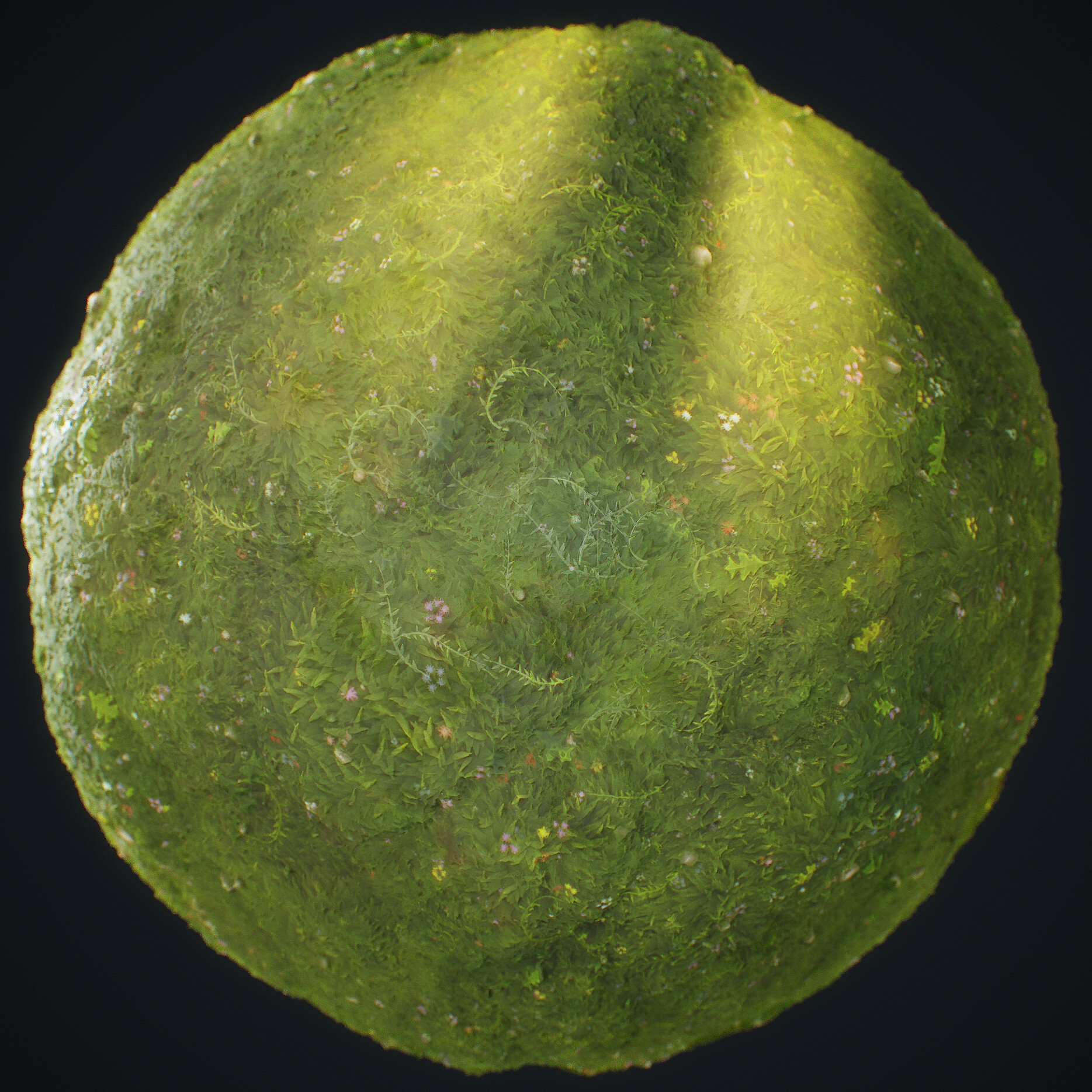 sam-drew-gorgeousgarden-02.jpg?1699174763 (978 KB,1869*1869)-花瓣网