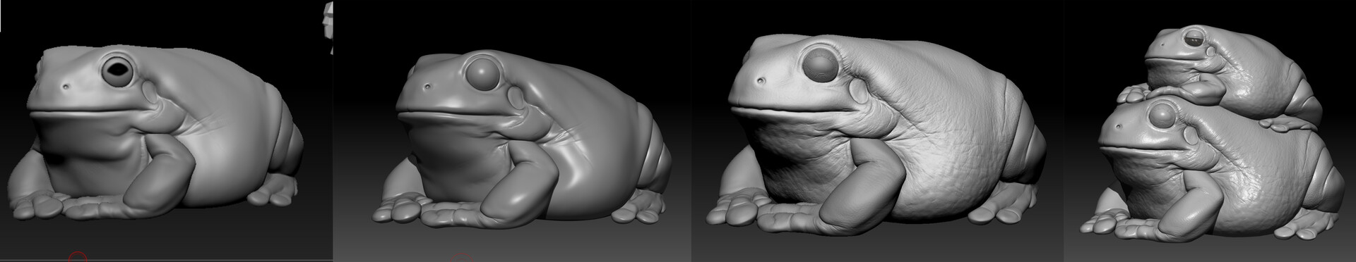 Holly Bruce - White Tree Frogs