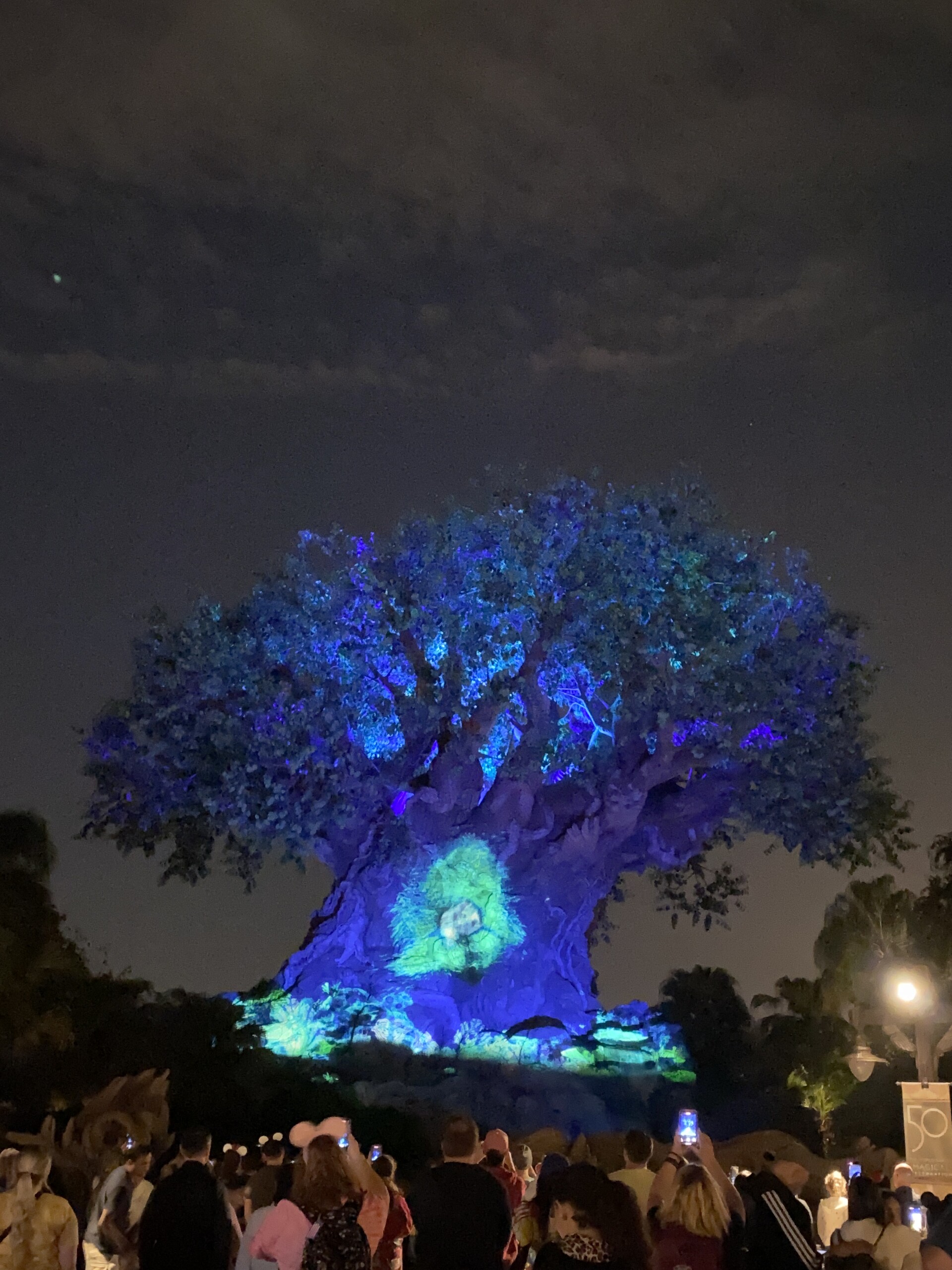 Ana Beltran - Avatar: The Way of Water Projection Show