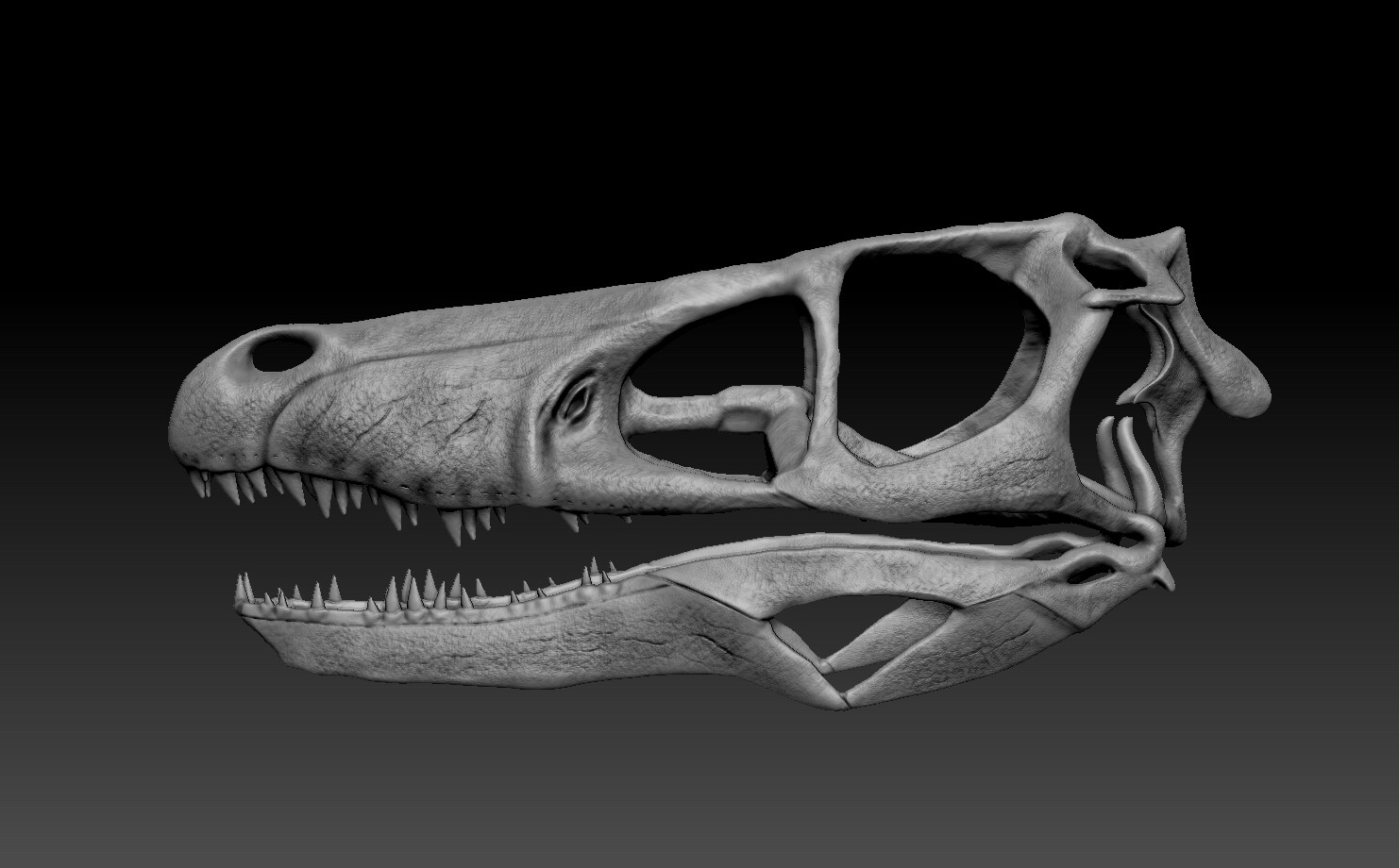 Moein Shams Nosrati - Velociraptor Skull - 3D print project
