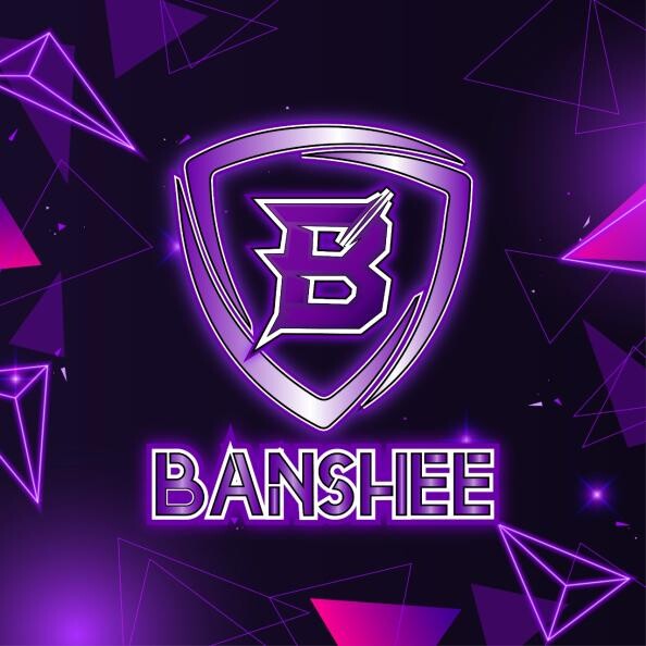Muhammad Mustafa Bhuri - BANSHEE | Gaming Logo & Banner